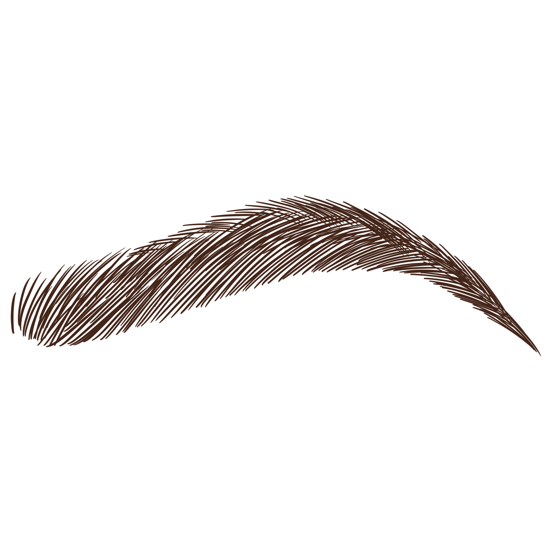 Eyebrow Texture Png