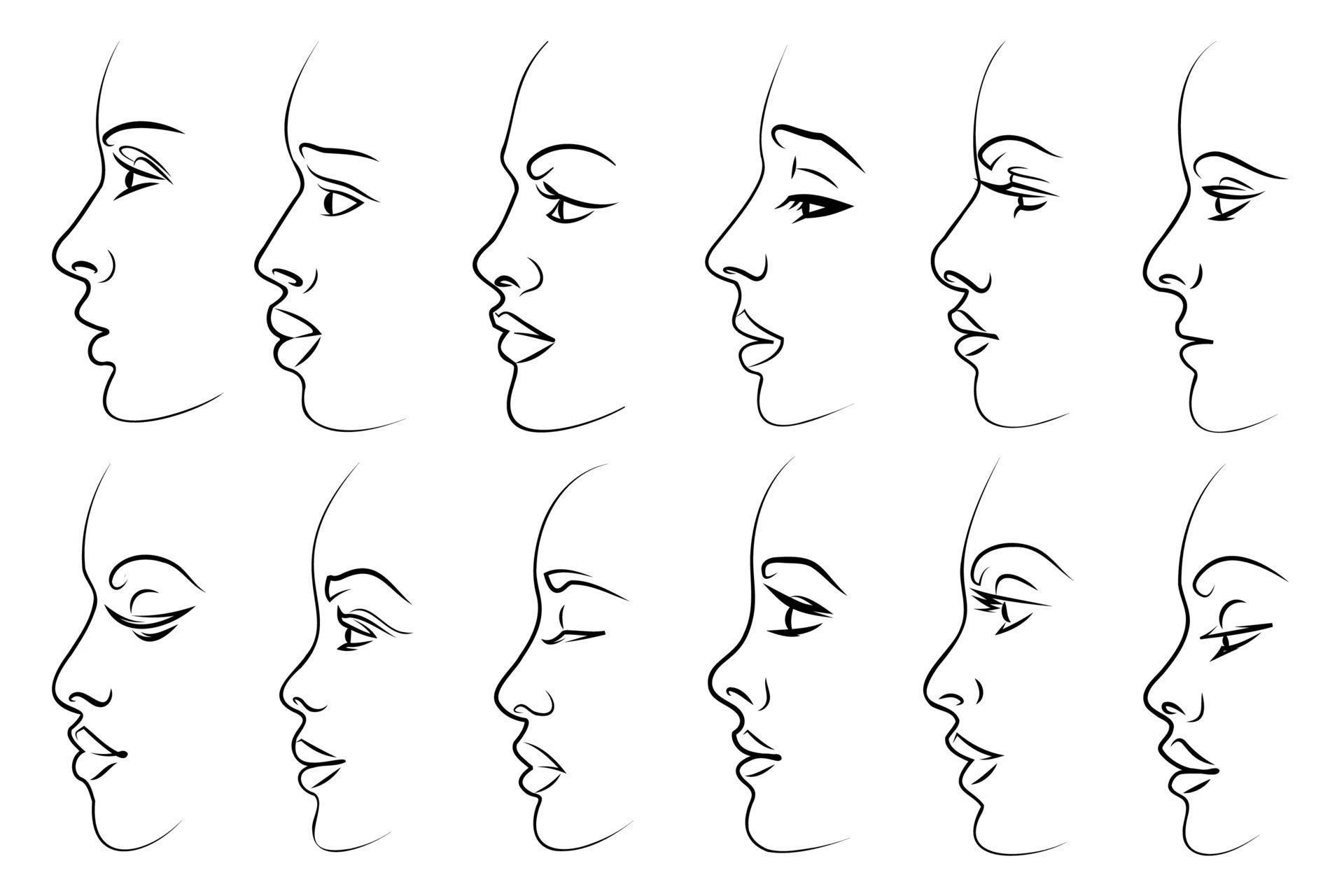 women profile portrait. Woman line art set with black thin line ... women profile portrait. Woman line art set with black thin line ...