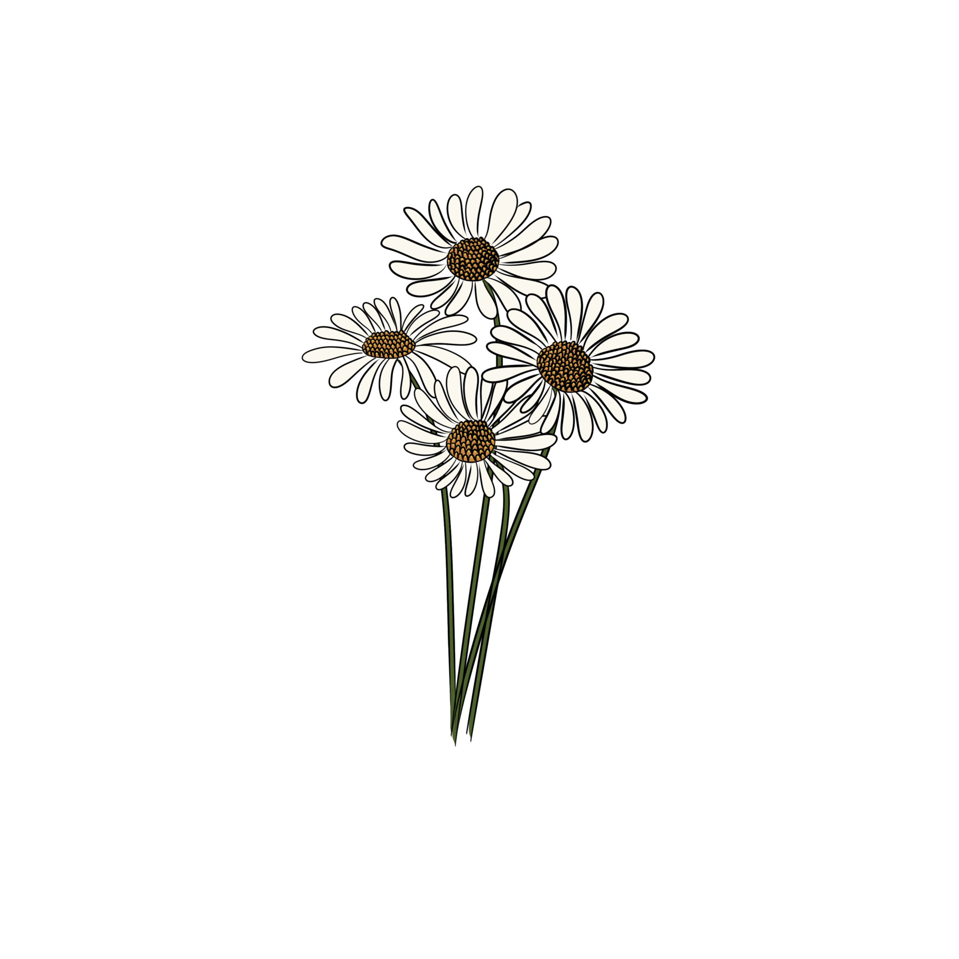 White Daisy Bouquet 16695436 Png