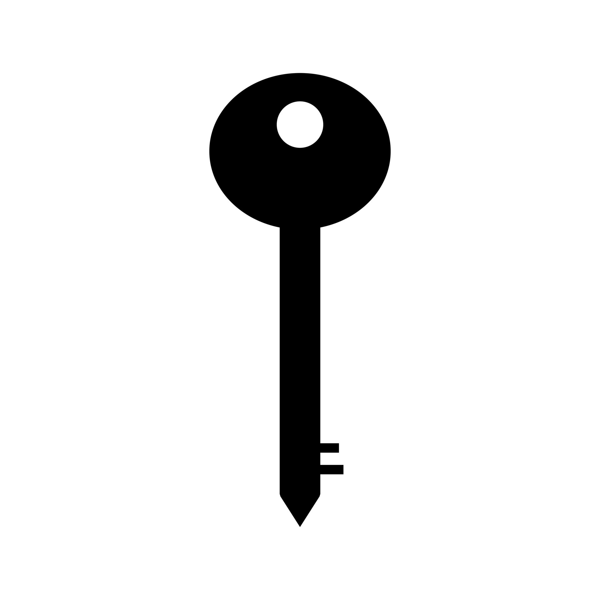 Key Vector Icon 16707986 Vector Art at Vecteezy