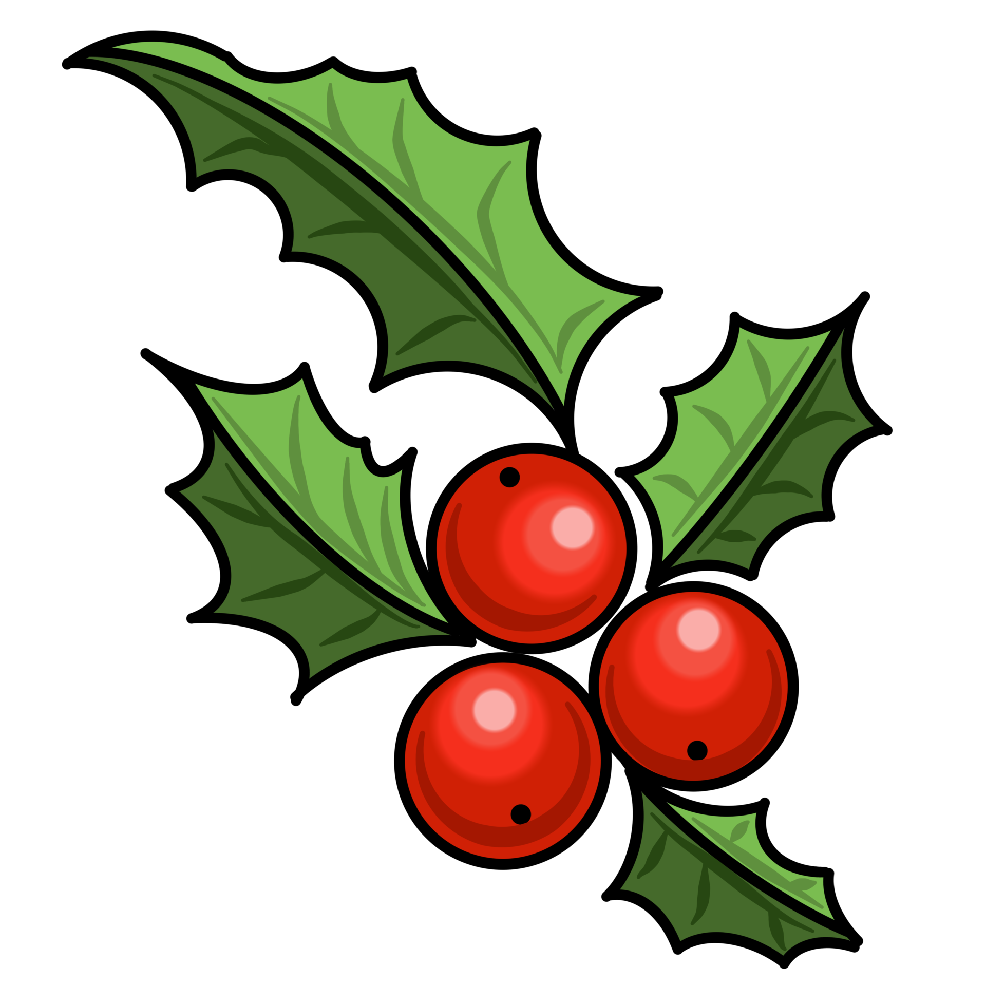 Holly leaves are green with red berries. PNG illustration with ... Holly leaves are green with red berries. PNG illustration with ...