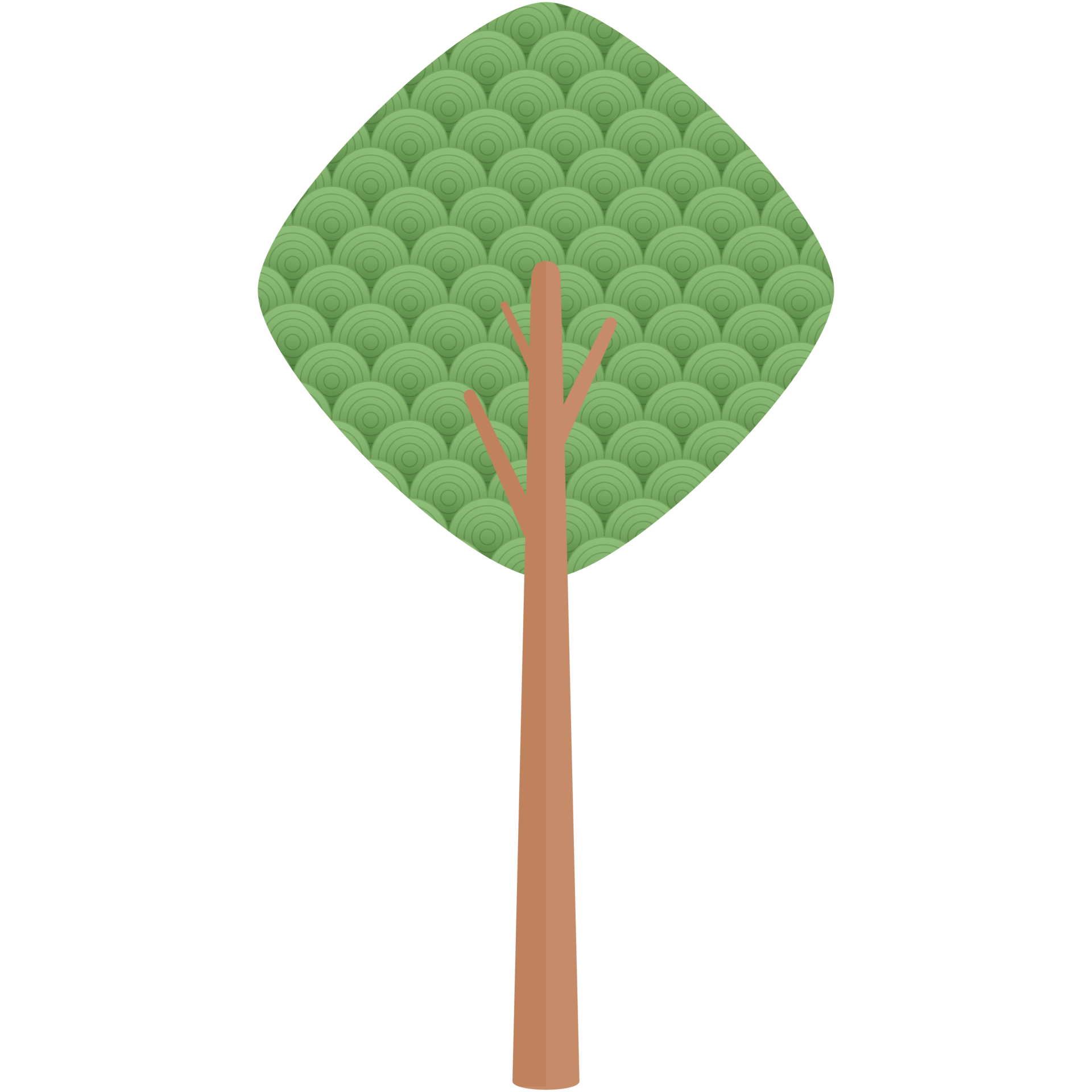 Flat Circle Themed Tree Nature Aesthetic Collection Set 16731140 PNG