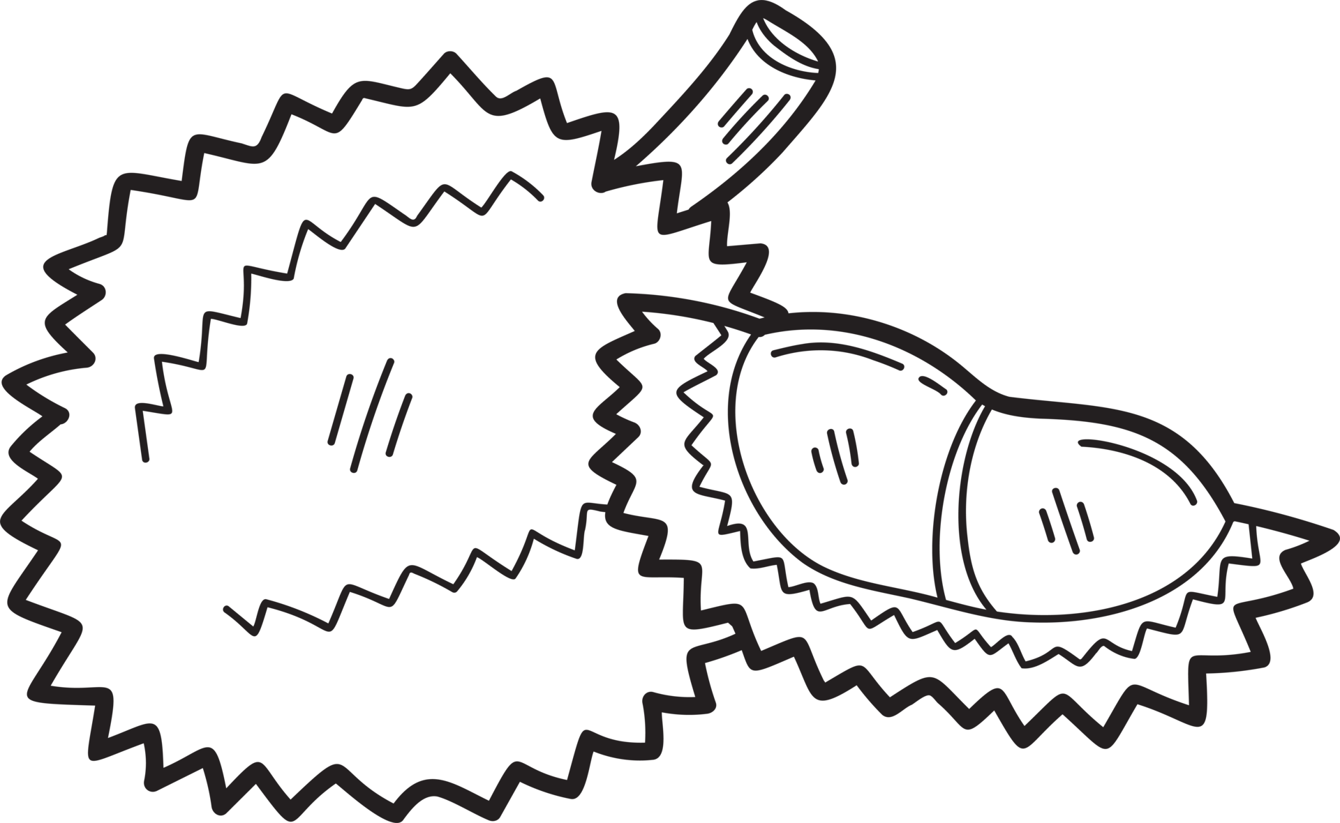 Hand Drawn durian fruit illustration 16733245 PNG Hand Drawn durian fruit illustration 16733245 PNG