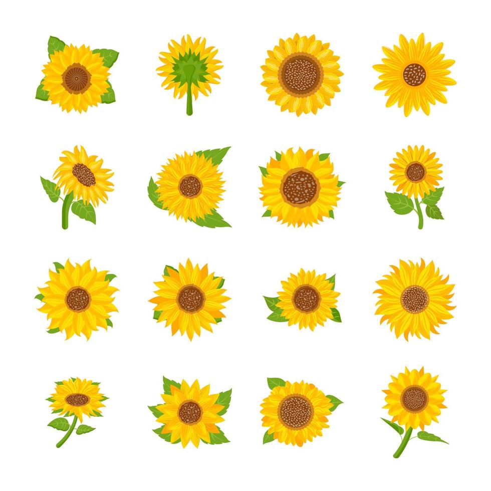 Set of Flat Spring Flower Vectors 16744426 Vector Art at Vecteezy