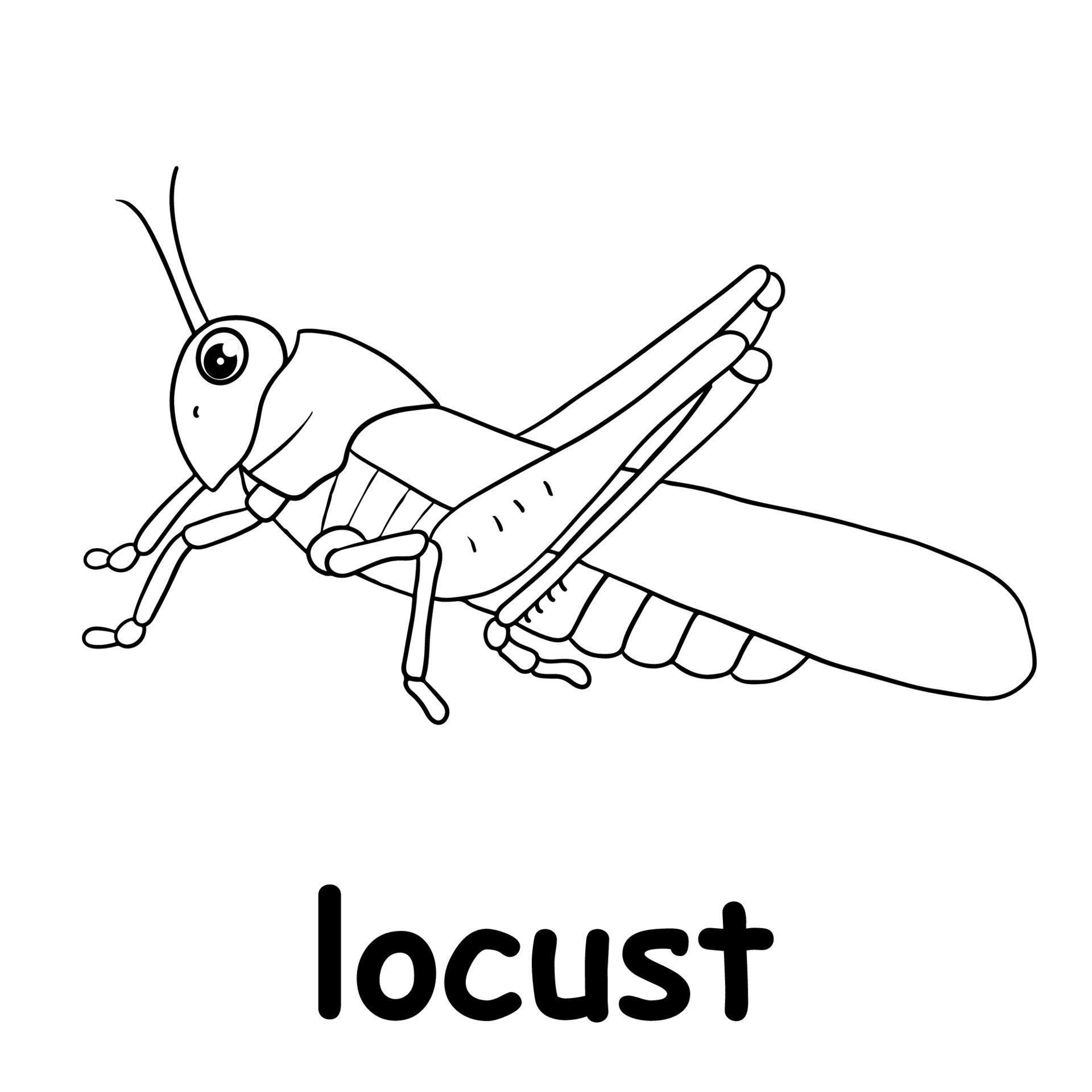 kids line illustration coloring locust. outline vector for children. cute cartoon characters ...