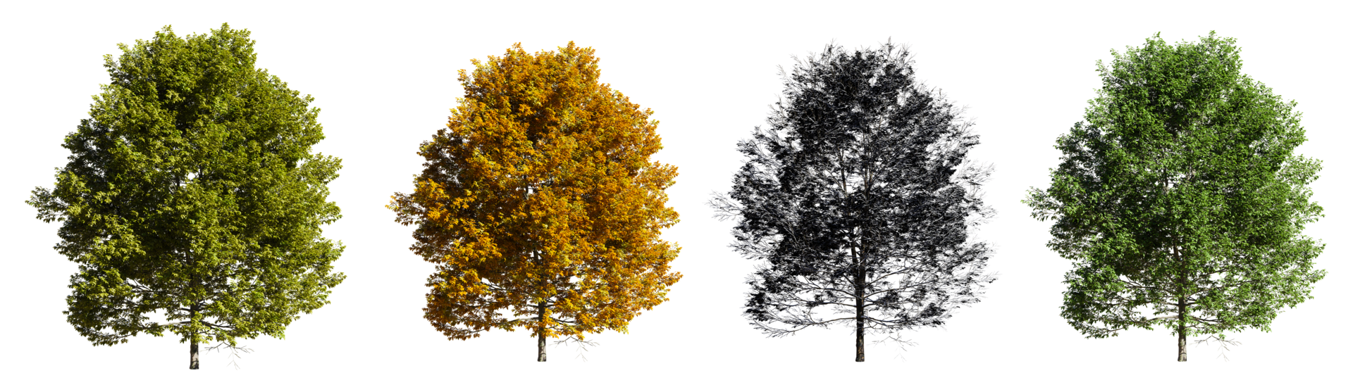 Collection of trees Isolated on transparent background. 3d rendering illustration. 16763027 PNG