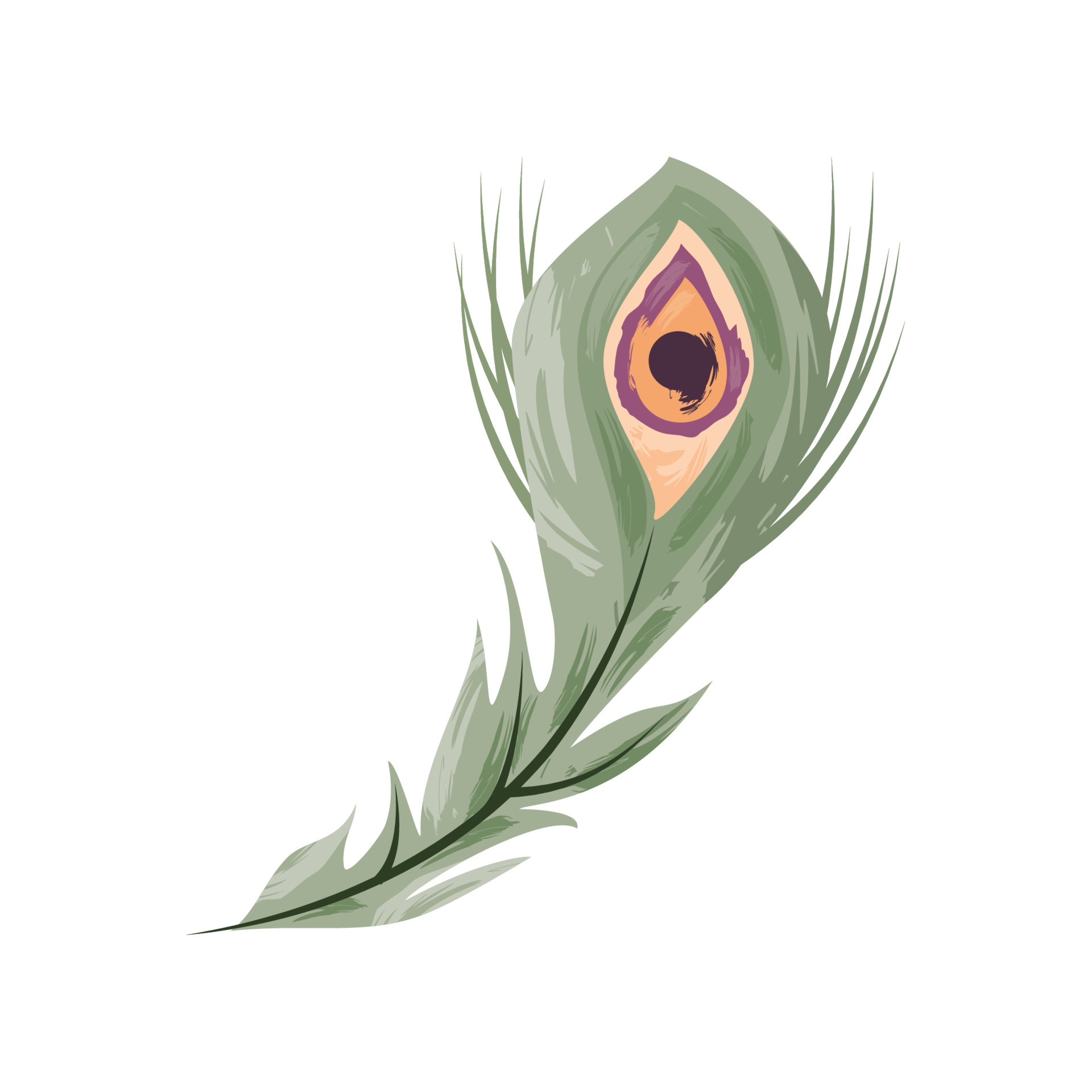 peacock feather boho style 16766901 Vector Art at Vecteezy