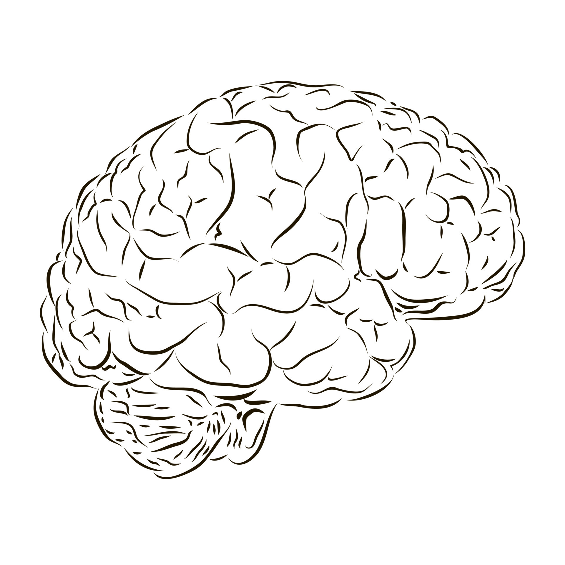 vista lateral del cerebro humano en blanco y negro. el concepto de ... vista lateral del cerebro humano en blanco y negro. el concepto de ...