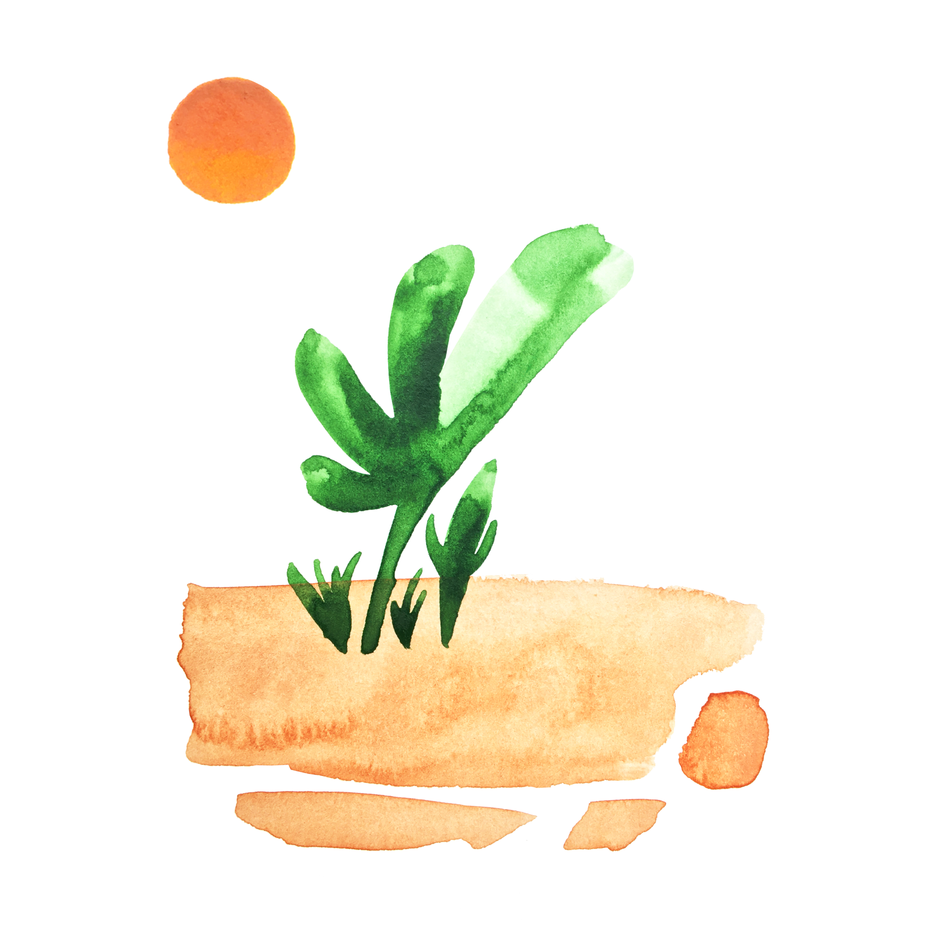 elementos boho abstratos em aquarela 16778997 PNG