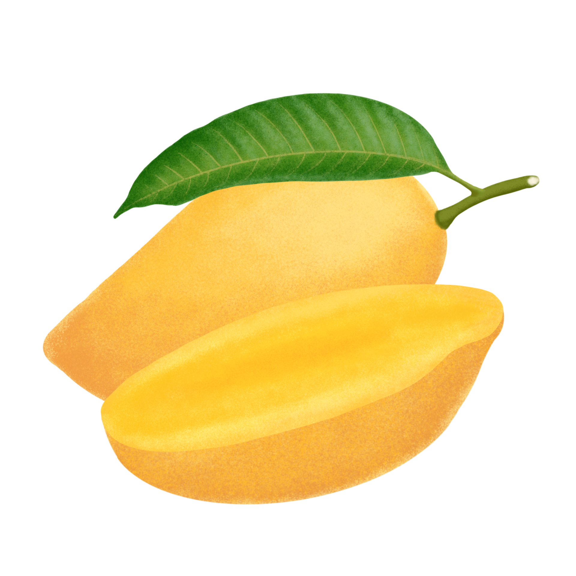 Mango Fruit Illustration 16779283 Png