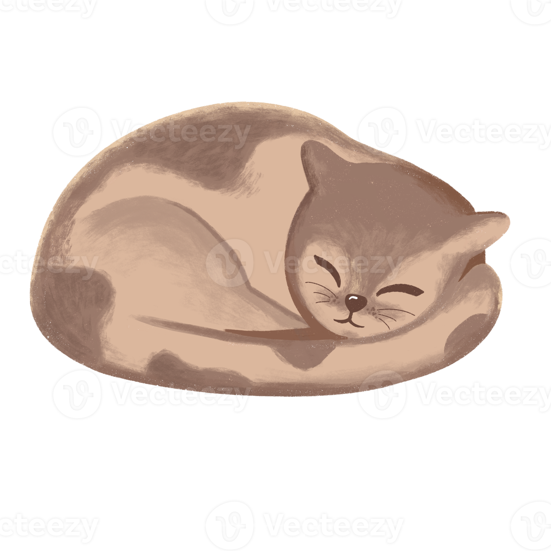 Cute Sleeping Cat Hand Drawn Illustration 16779518 Png