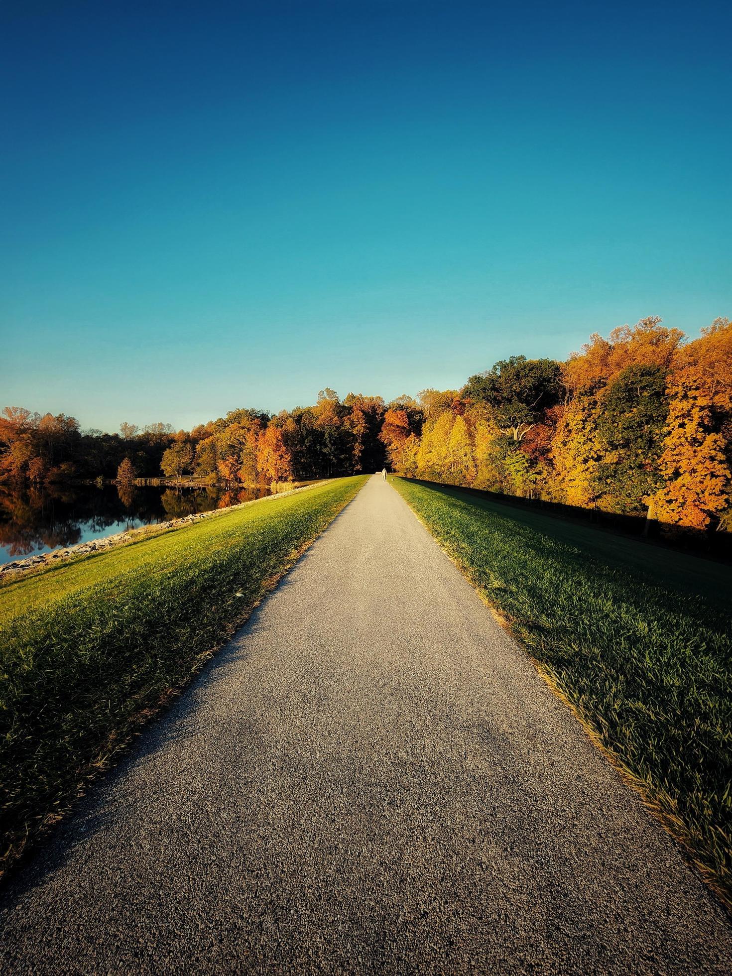 Autumn Walking Path 16786390 Stock Photo at Vecteezy
