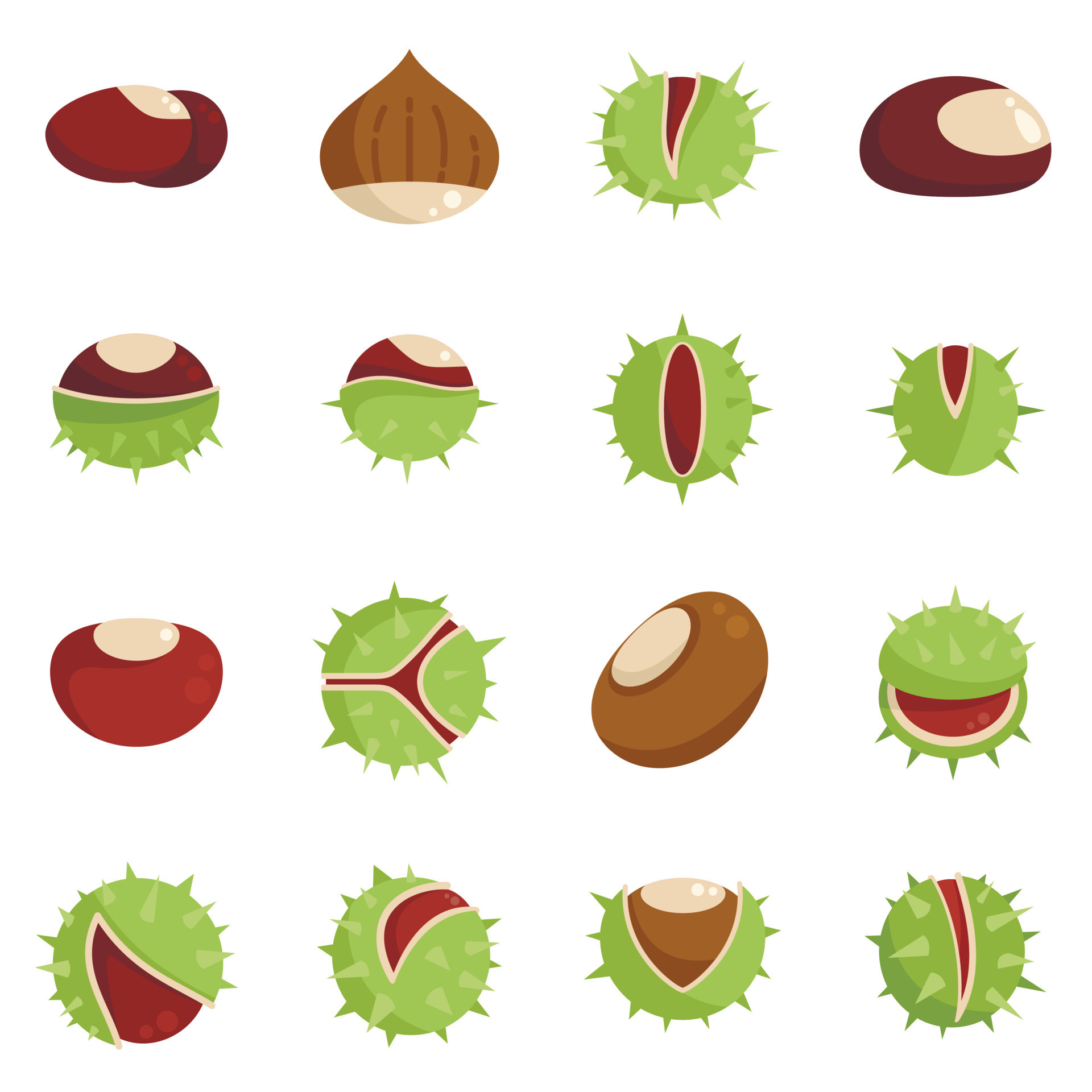 Chestnut icons set flat vector. Horse food 16816299 Vector Art at Vecteezy Chestnut icons set flat vector. Horse food 16816299 Vector Art at Vecteezy