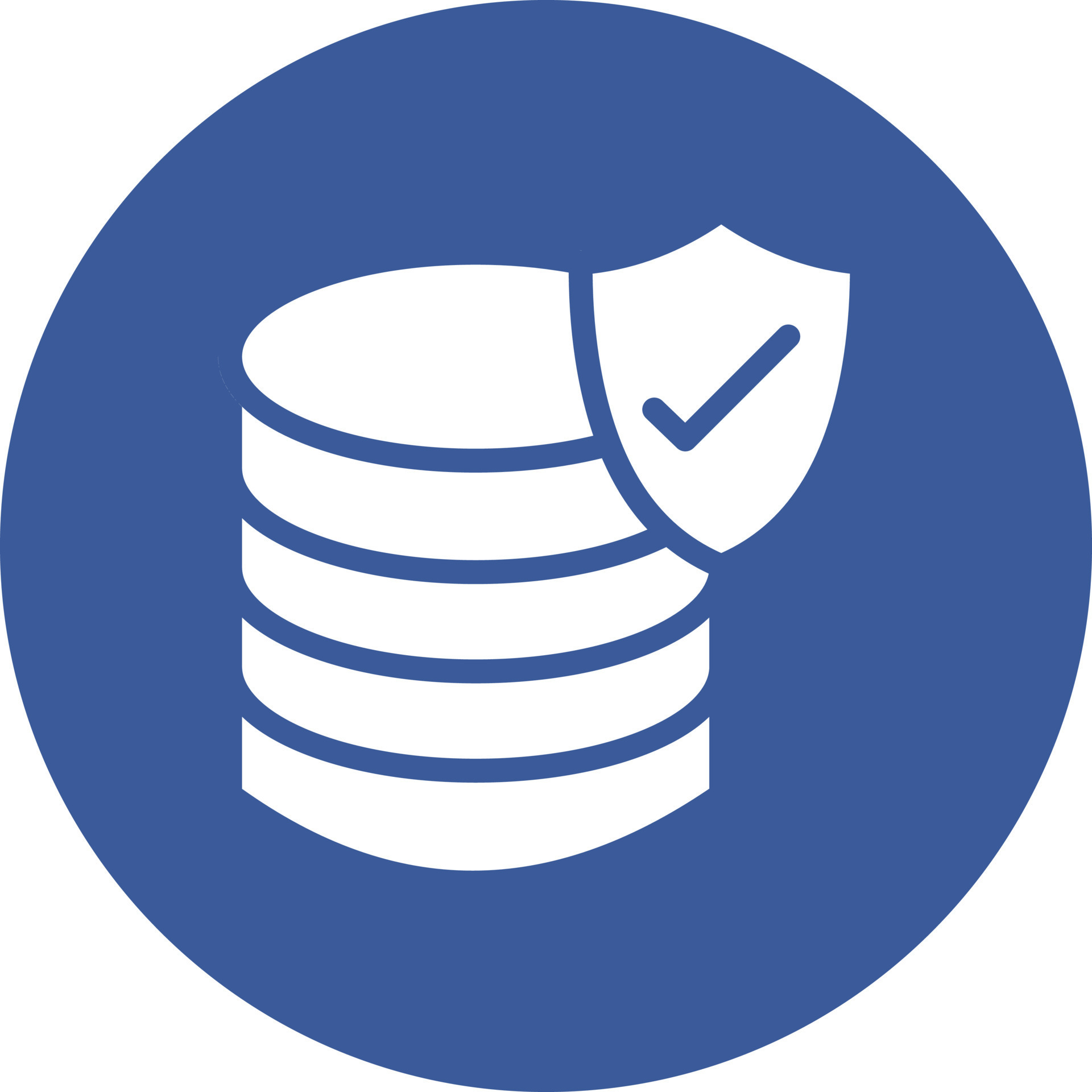 Database Protection Vector Icon 16821661 Vector Art At Vecteezy