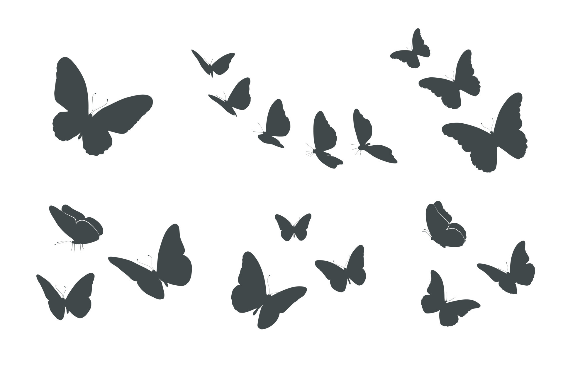 Flying butterfly silhouettes, Butterflies silhouettes. 16827542 Vector ... Flying butterfly silhouettes, Butterflies silhouettes. 16827542 Vector ...