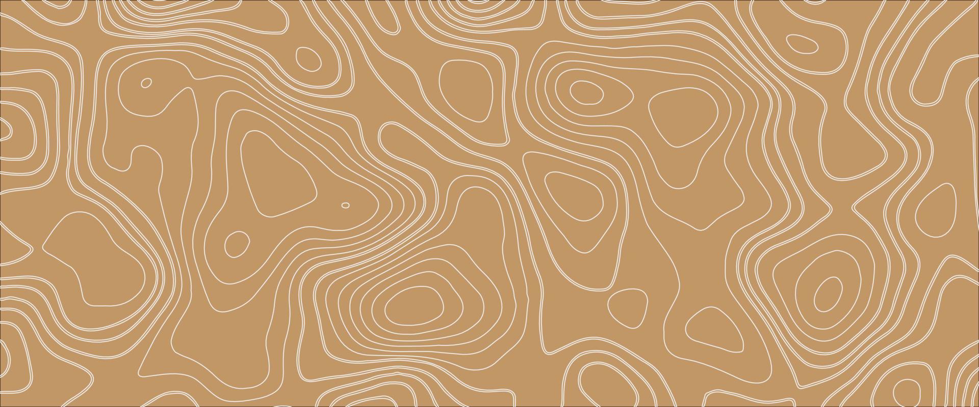 Topographic Linear Background Abstraction With Place For Text Map Line Of Topography Vector