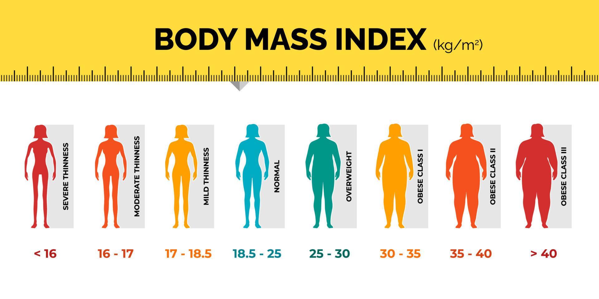 BMI classification chart measurement woman colorful infographic with ruler. Female Body Mass ...