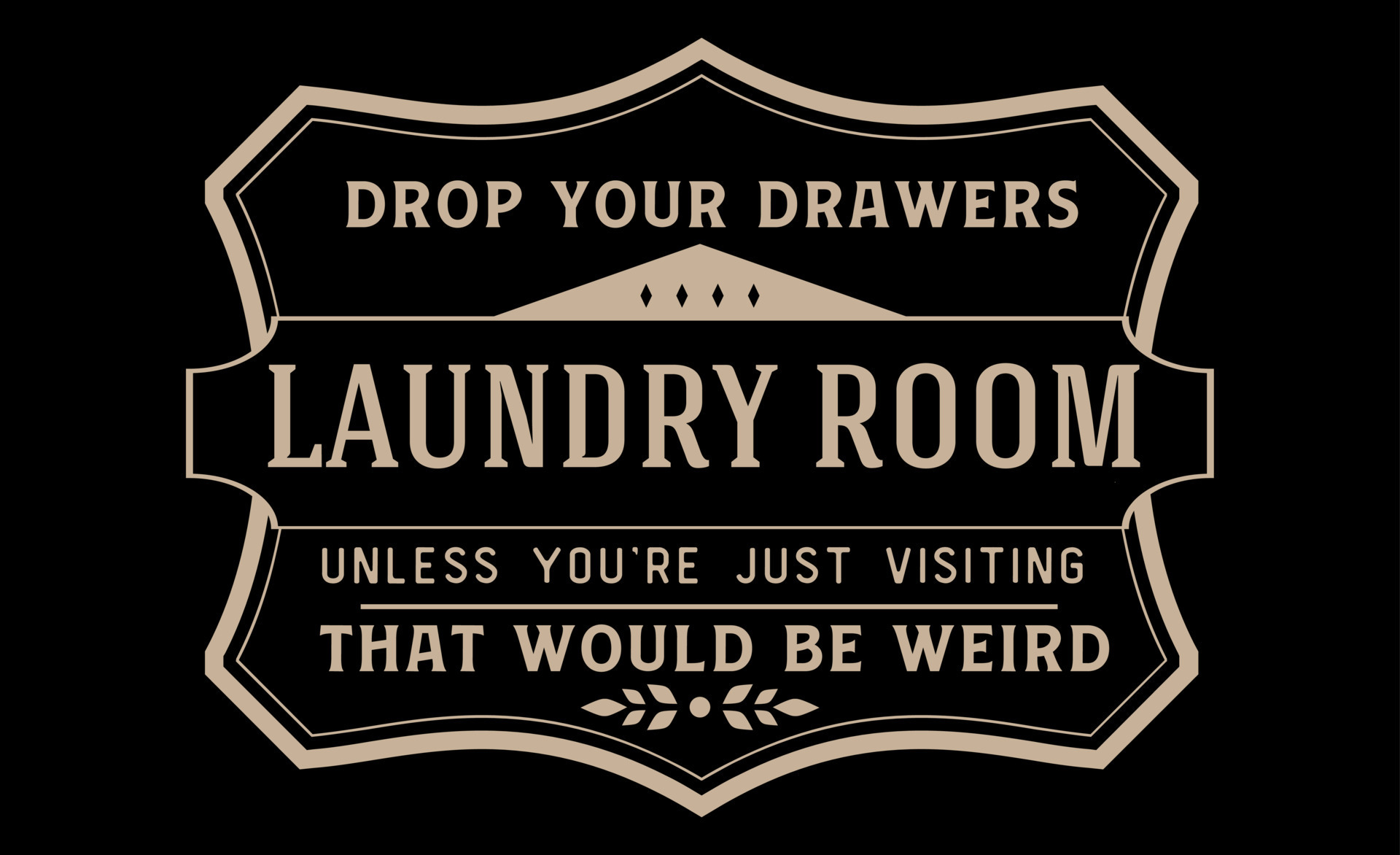 Vintage Laundry Sign Symbols Vector Illustration Isolated Laundry