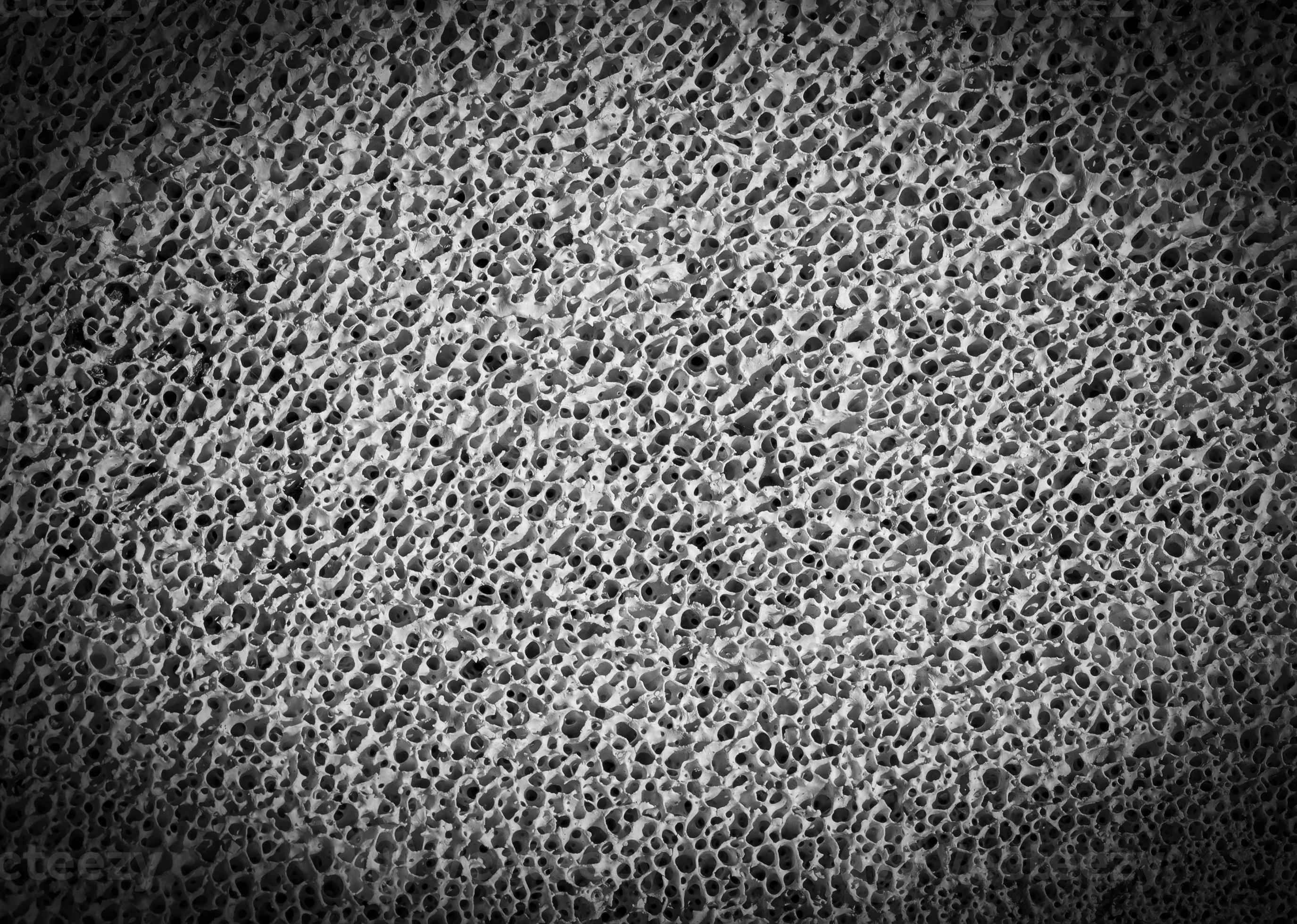 Bone spongy structure close-up, healthy texture of bone. Selective ... Bone spongy structure close-up, healthy texture of bone. Selective ...