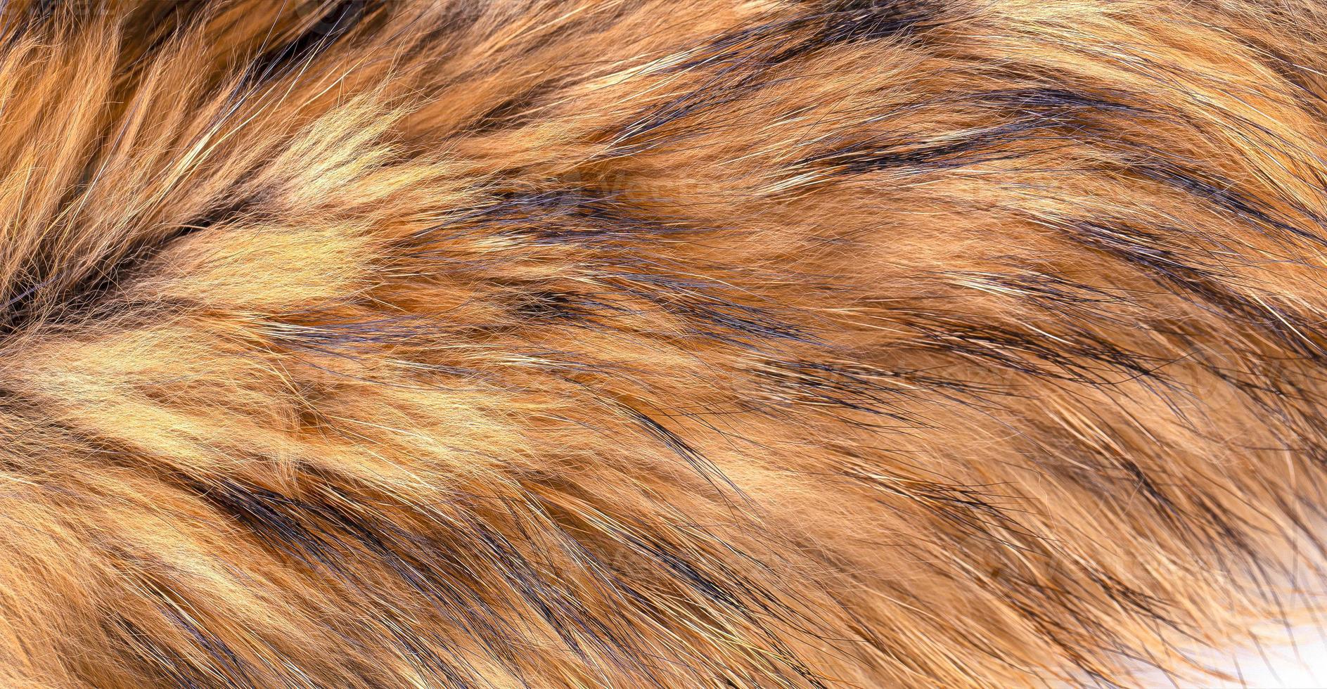 Polar Fox fur as texture or background 16863477 Stock Photo at Vecteezy