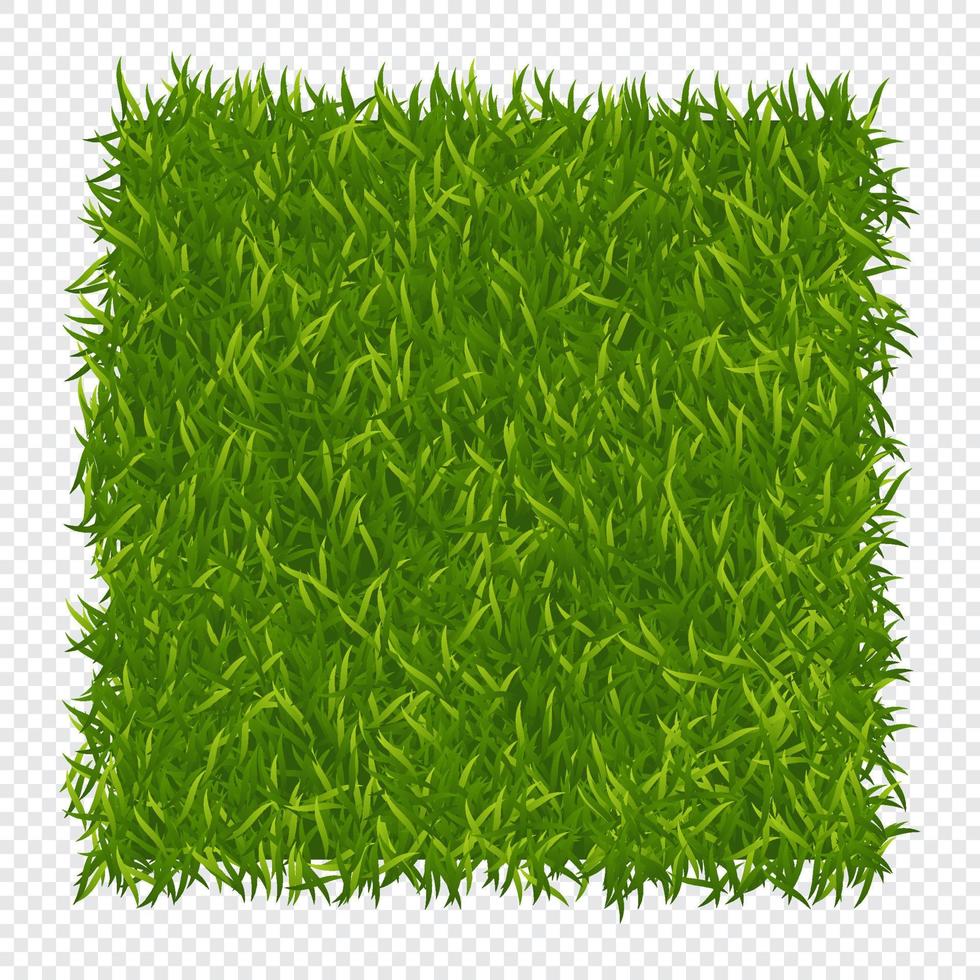 Green Grass Background Lawn Nature Abstract Field Texture Green Grass Texture Vector
