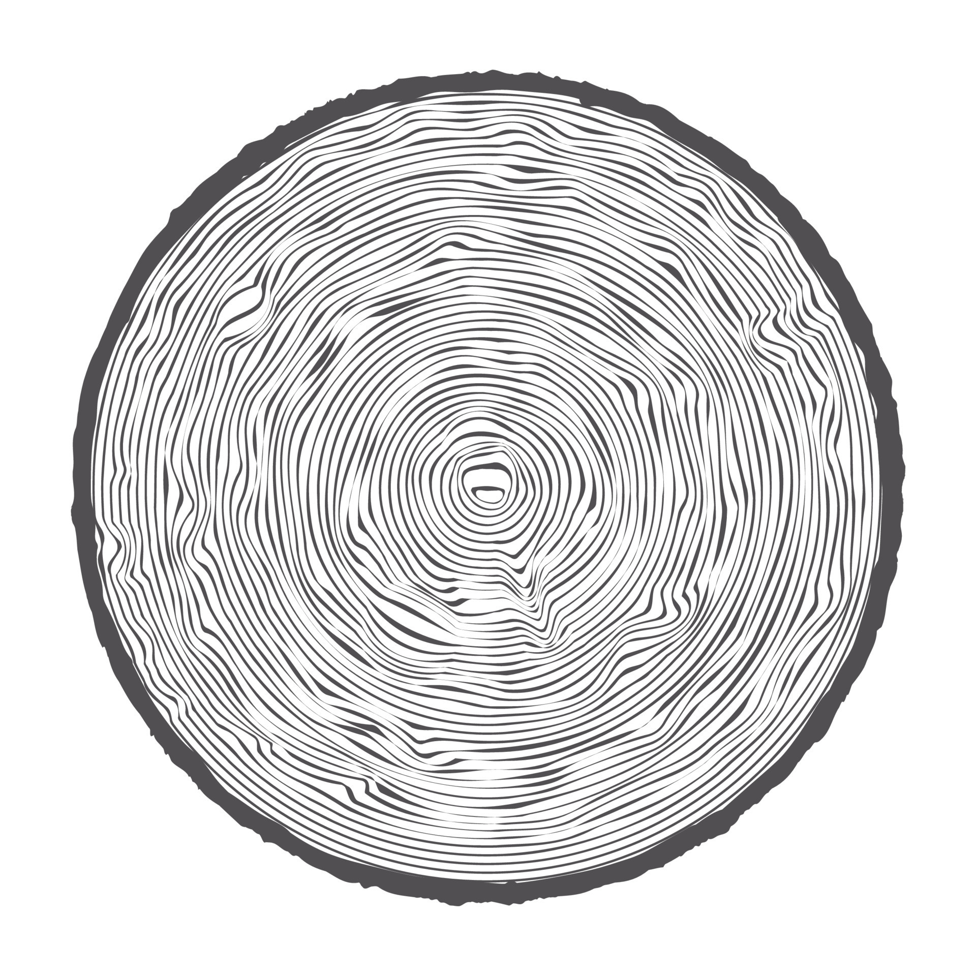 Tree Ring Drawing