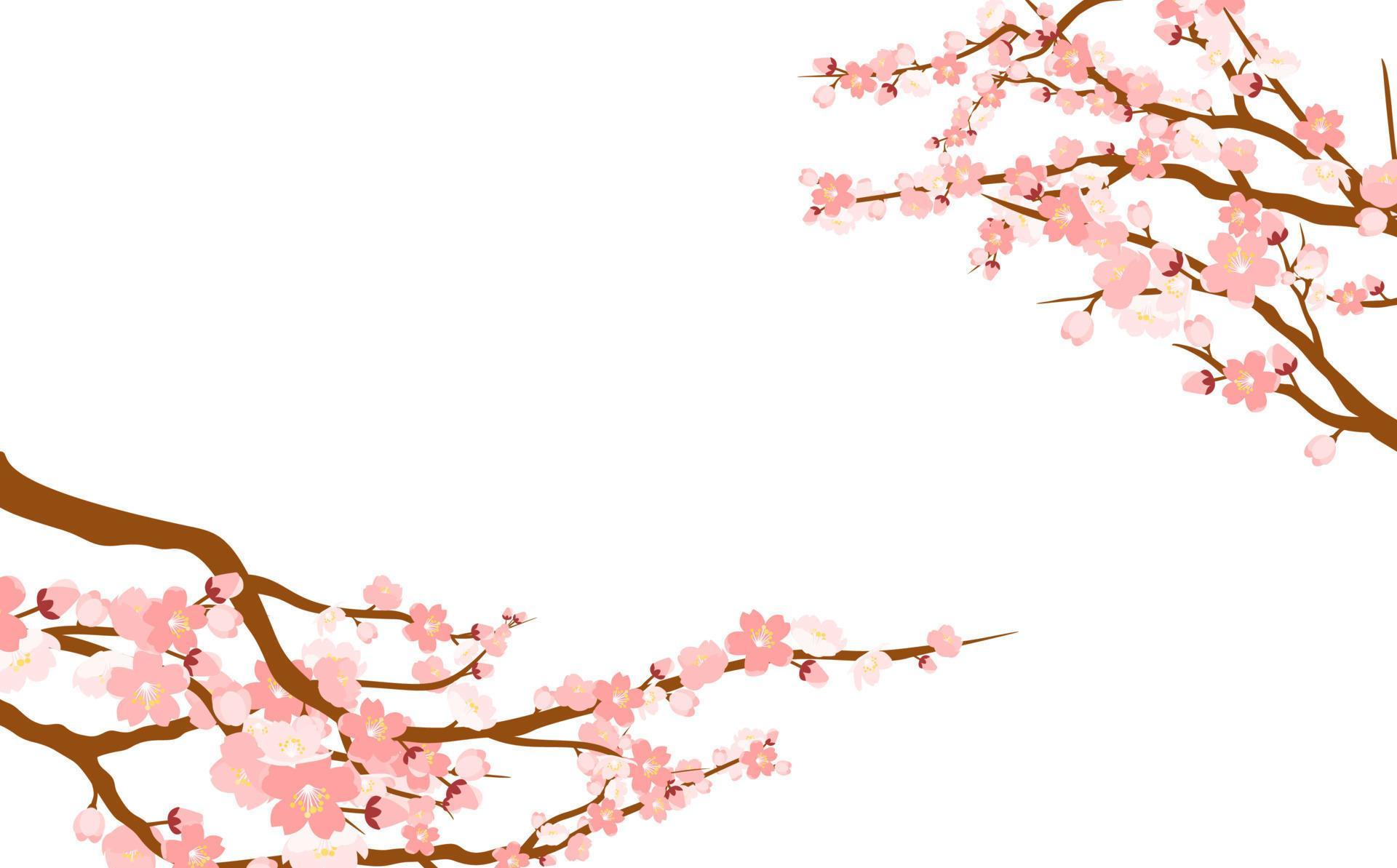 Set of spring blooming tree branches, tree branch with pink flowers ...