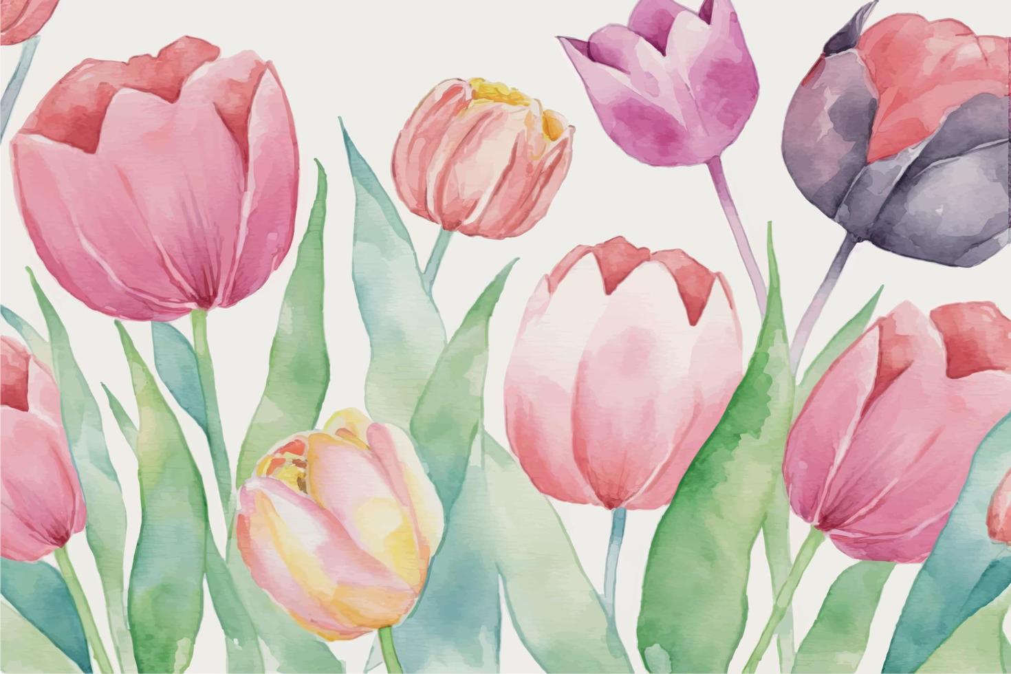 Hand-drawn watercolor tulips 17023164 Vector Art at Vecteezy