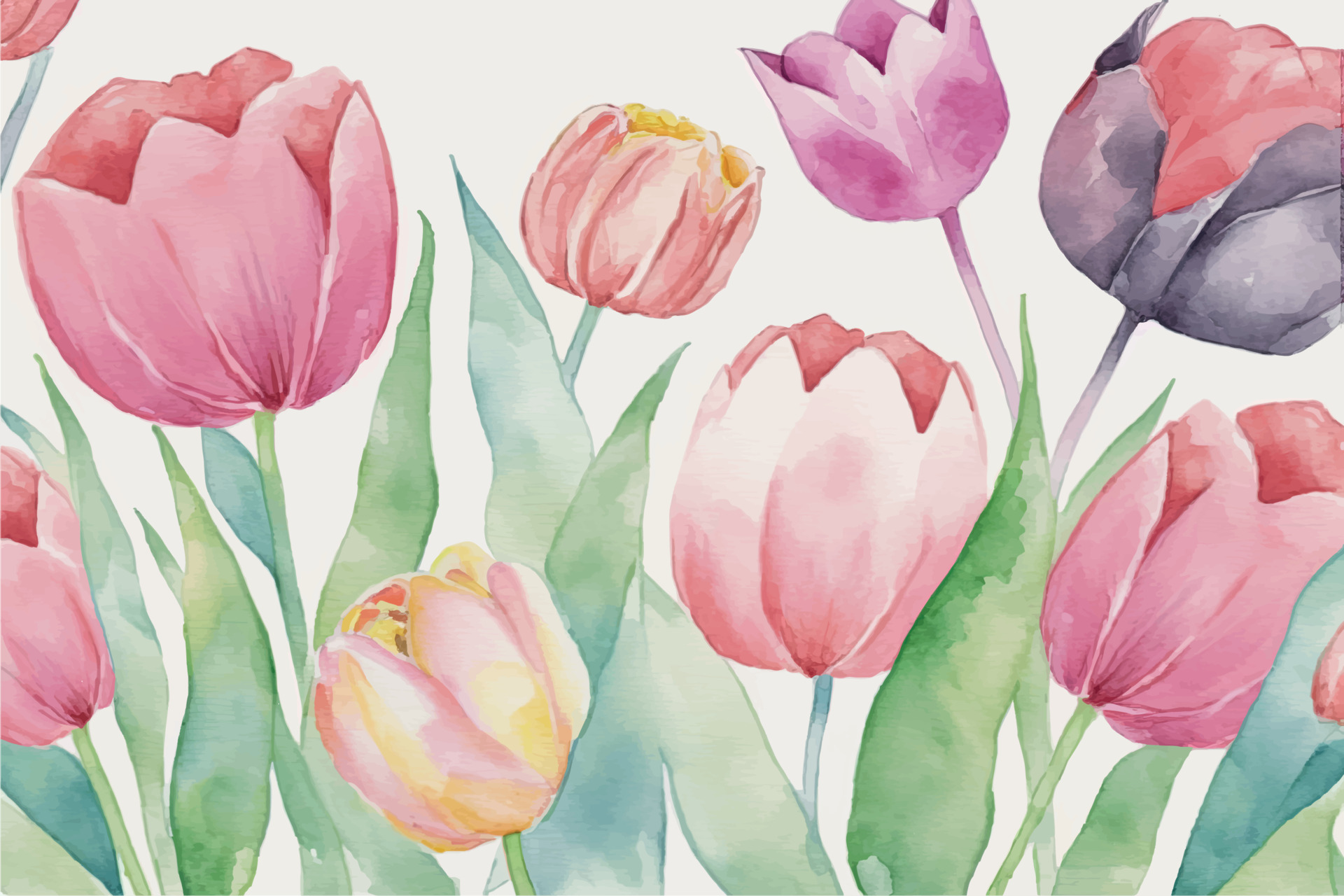Hand Drawn Watercolor Tulips 17023164 Vector Art At Vecteezy