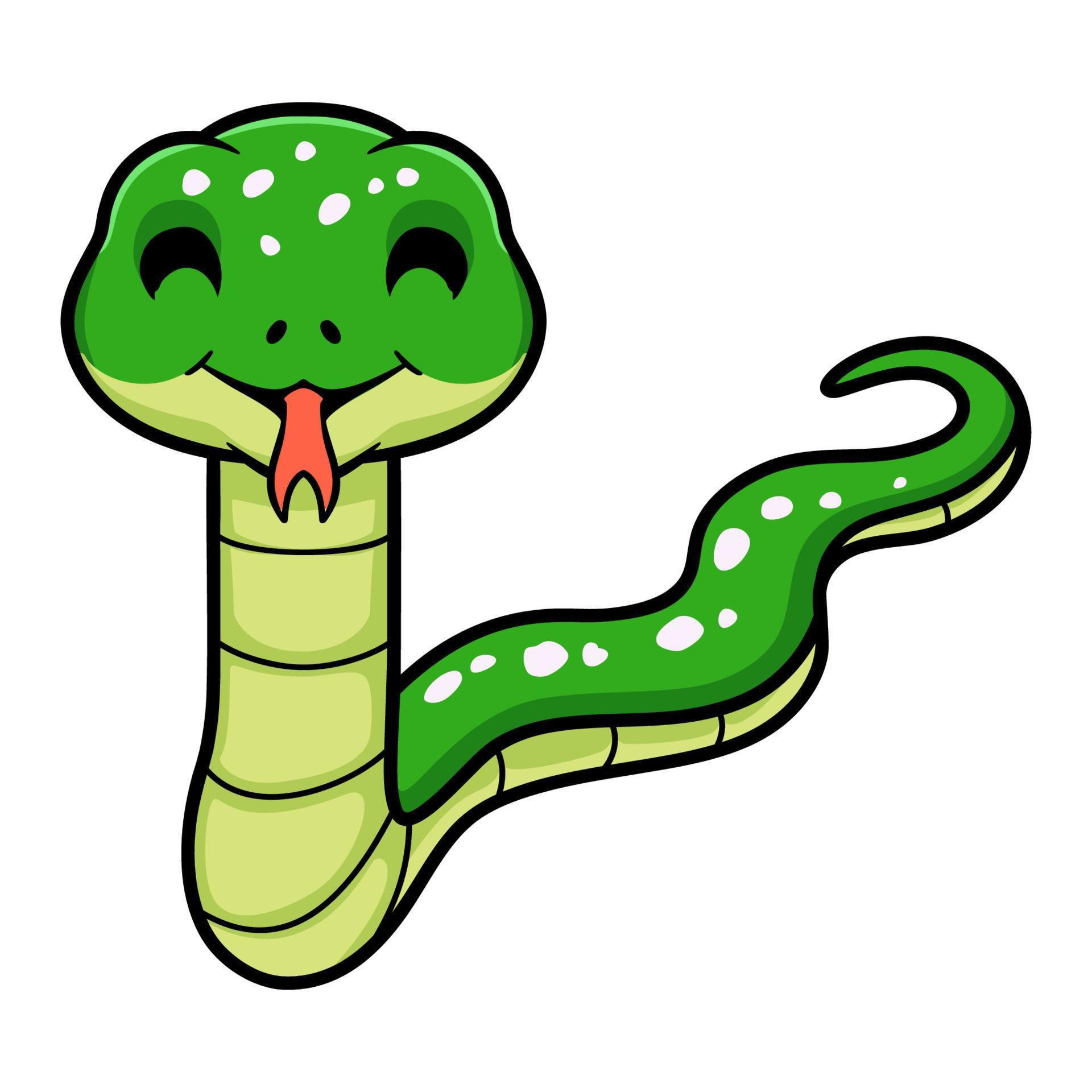 Cute green tree python cartoon 17157582 Vector Art at Vecteezy