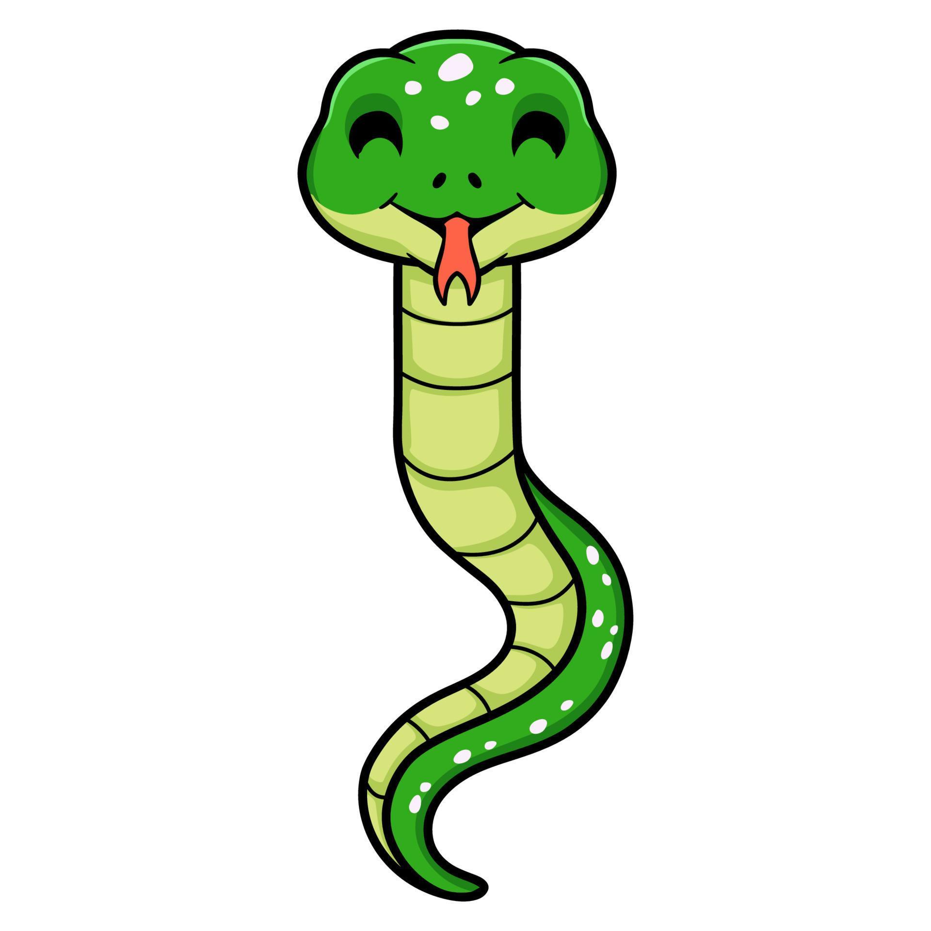 Cute green tree python cartoon 17157584 Vector Art at Vecteezy