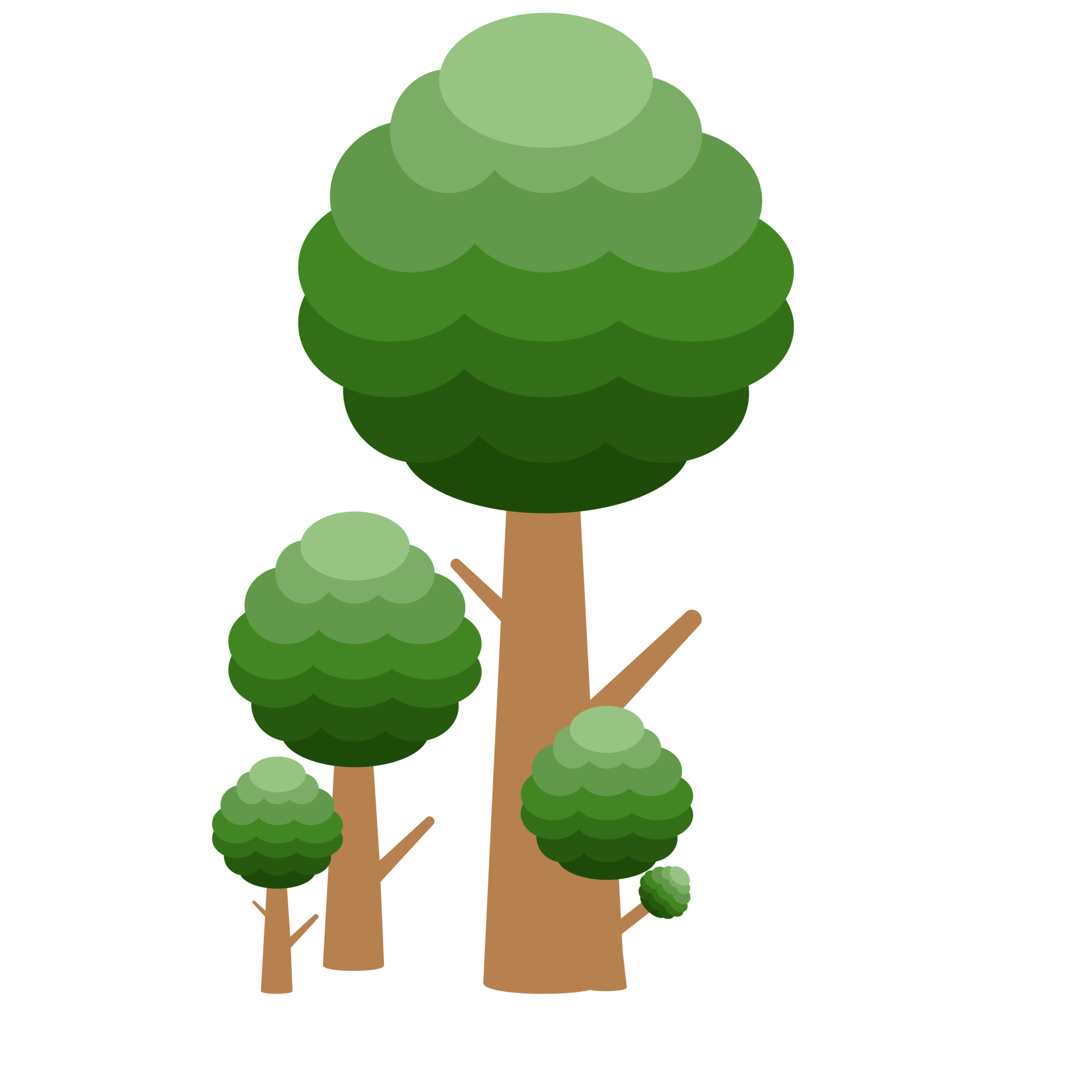 Free Little Forest Realistic Tree Collection Of Different Kinds Of free-little-forest-realistic-tree-collection-of-different-kinds-of