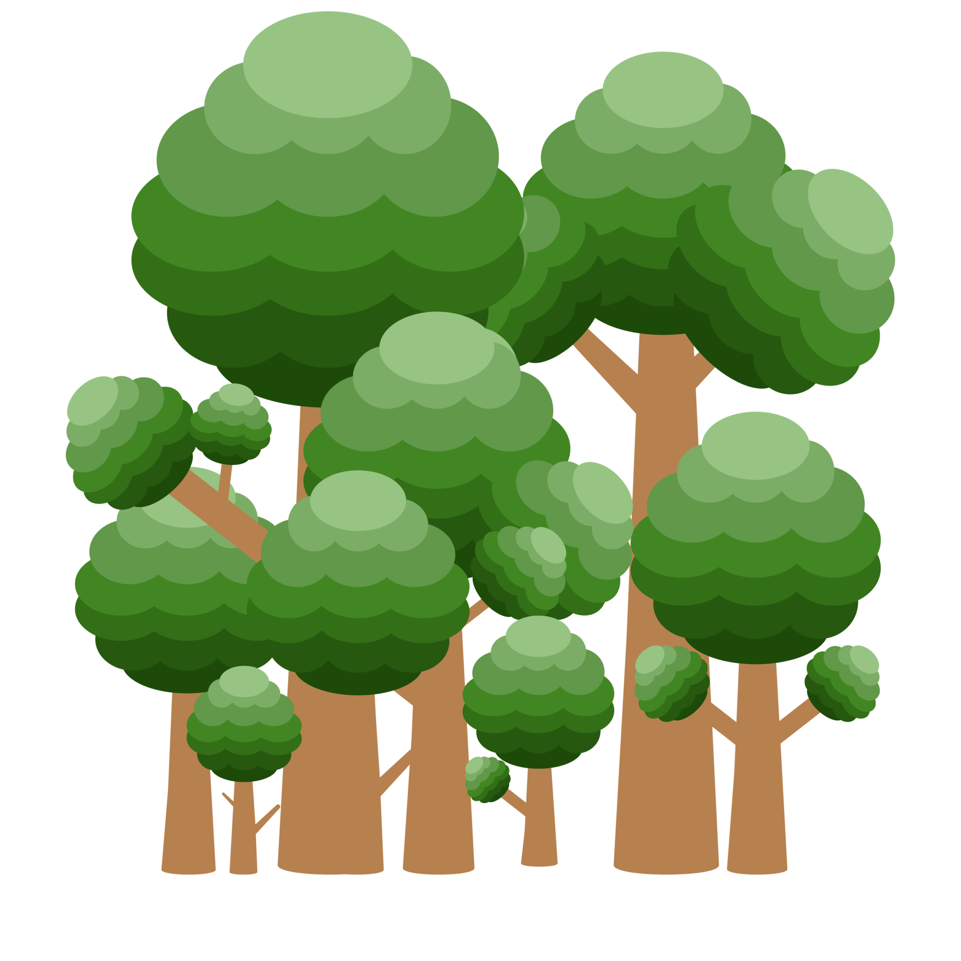 Free Little Forest Realistic Tree Collection Of Different Kinds Of Free Little Forest Realistic Tree Collection Of Different Kinds Of