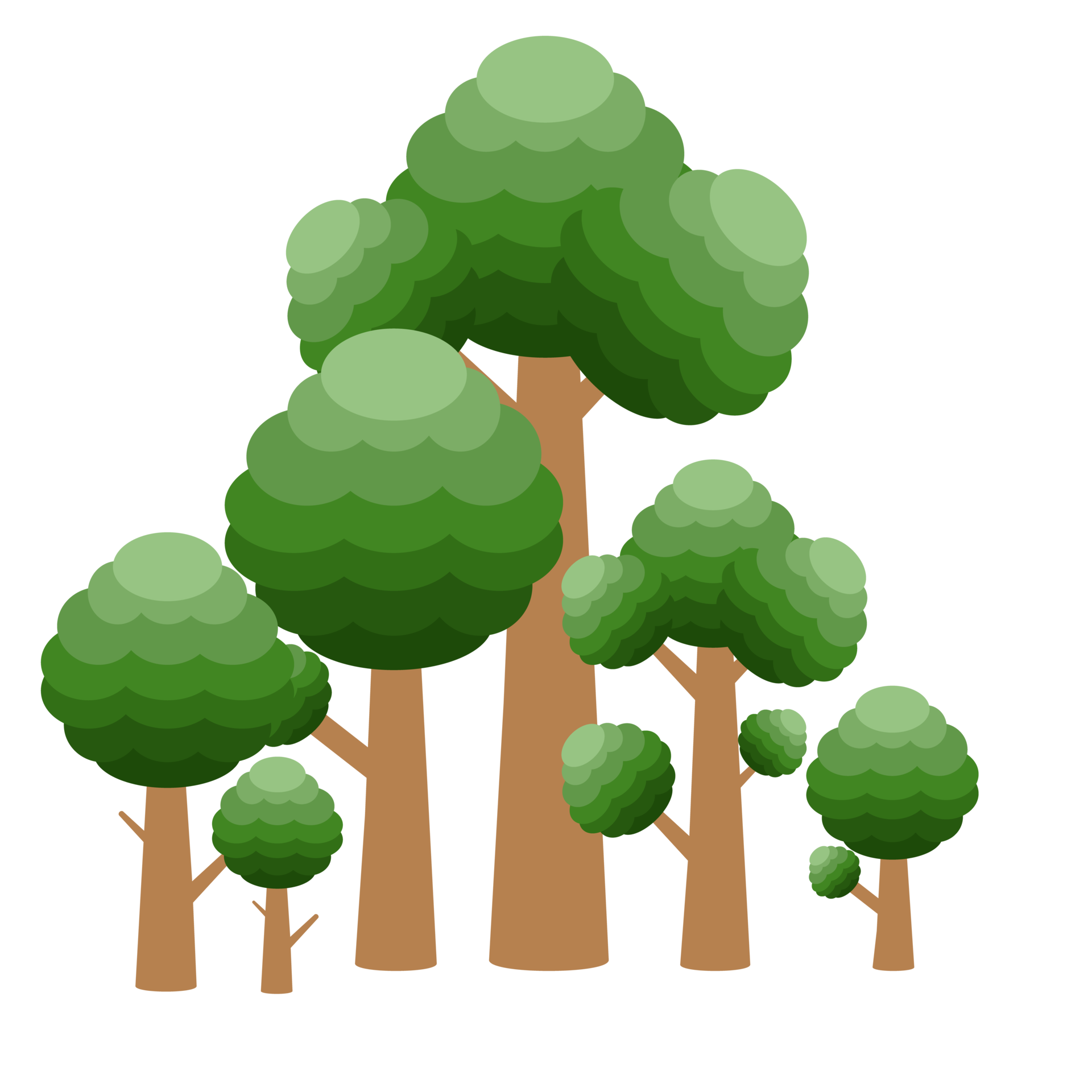 Little Forest Realistic Tree Collection Of Different Kinds Of Plant