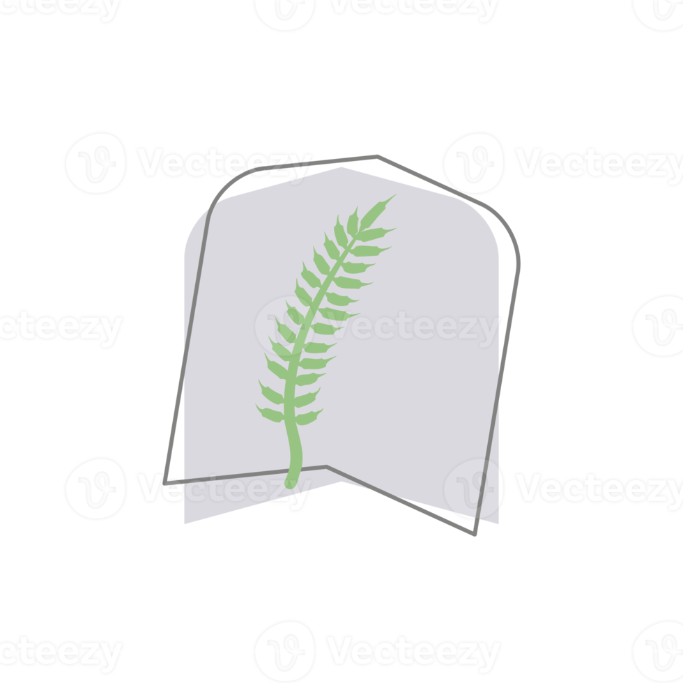 Aesthetic Leaf Organic Blobs Shape 17172051 PNG Aesthetic Leaf Organic Blobs Shape 17172051 PNG