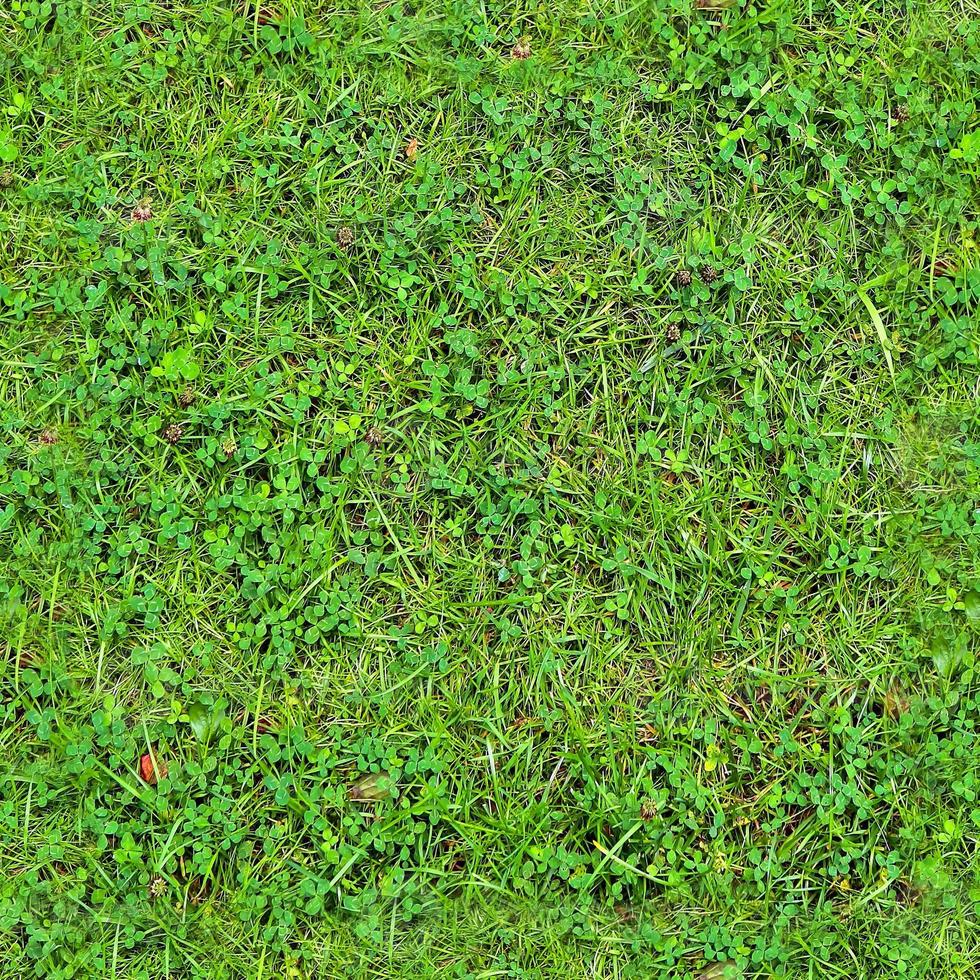 Photo Realistic Seamless Grass Texture In Hires With More Than 6