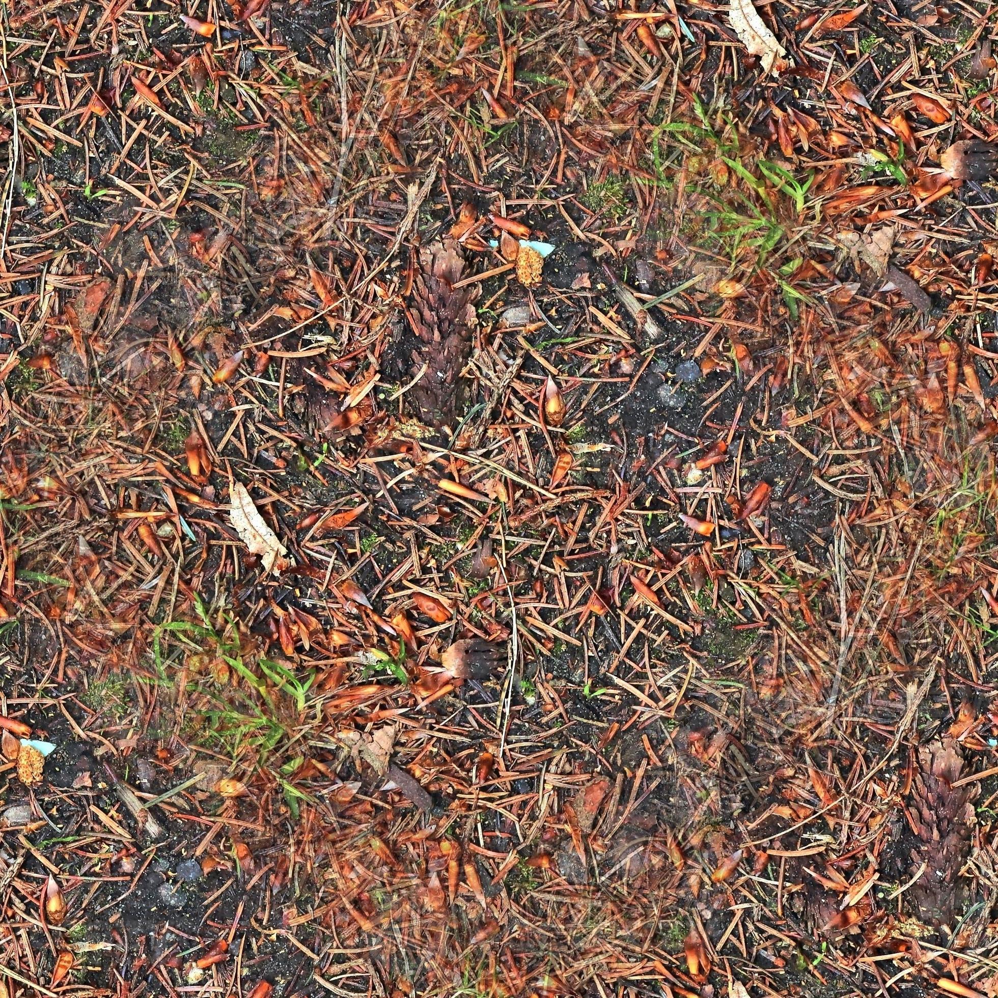 High Resolution Seamless Texture Of A Forest Ground With Autumn Leaves And Nuts 17177219 Stock