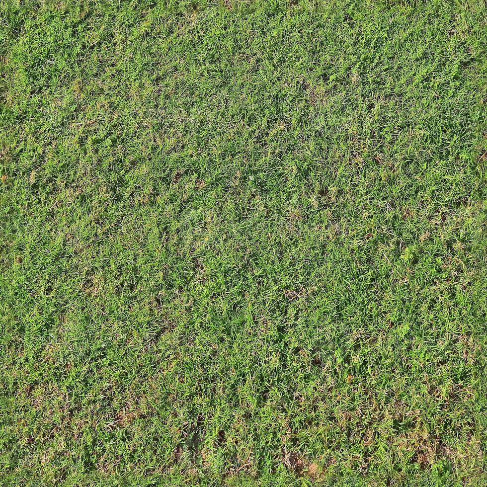 Photo Realistic Seamless Grass Texture In Hires With More Than 6 Megapixel In Size 17177311