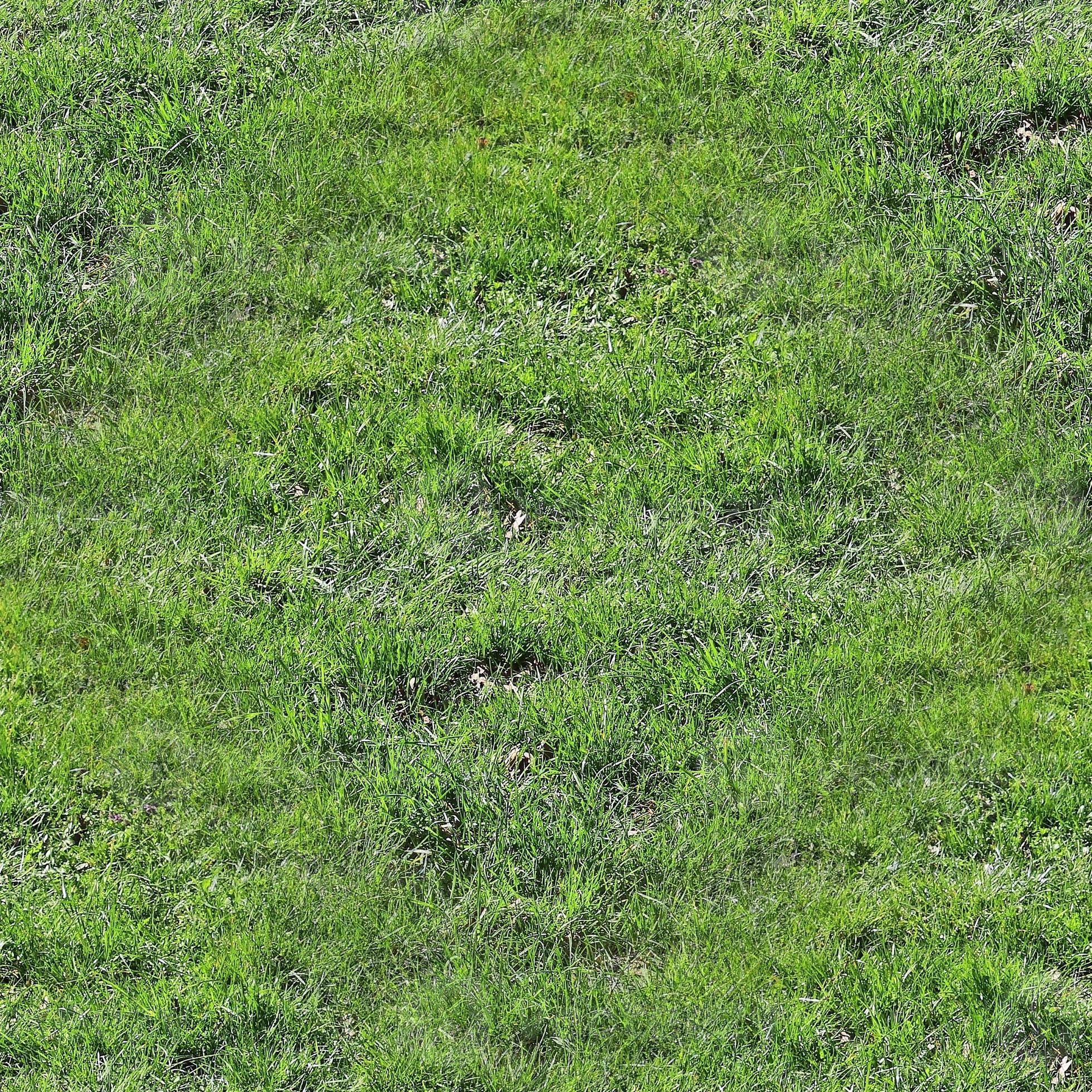 Photo realistic seamless grass texture in hires with more than 6 megapixel in size 17177453 ...