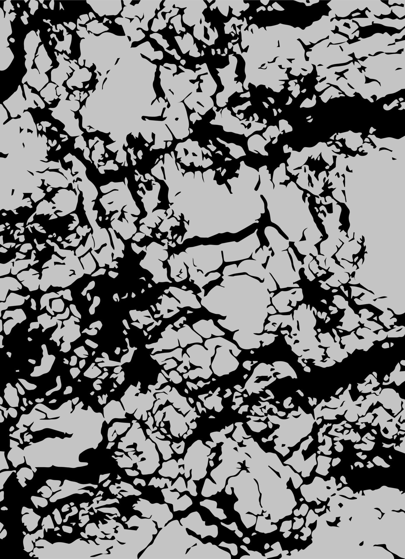 The Cracks Texture White And Black Vector Background 17187823 Vector Art At Vecteezy