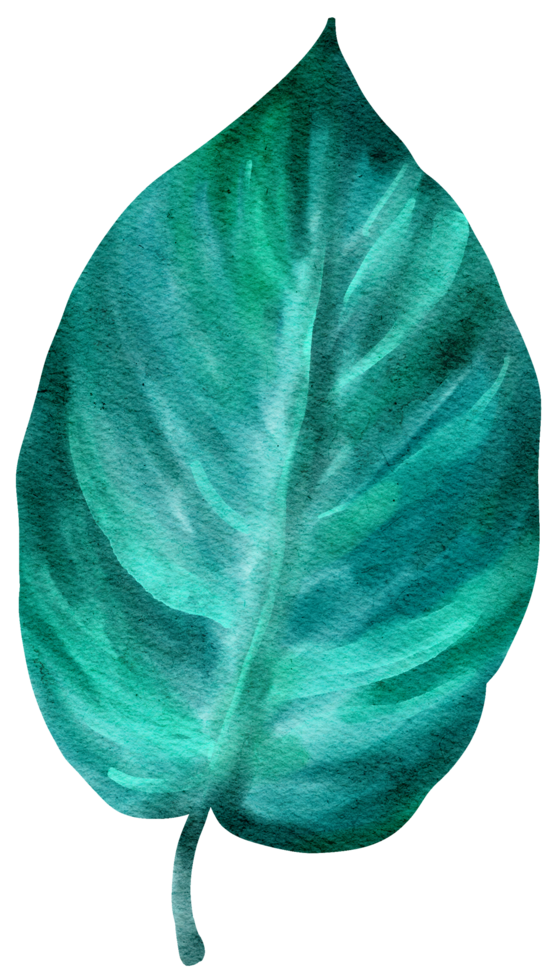 Free Hand Drawn Watercolor Tropical Plant. Flora Botanical Leaf ... Free Hand Drawn Watercolor Tropical Plant. Flora Botanical Leaf ...