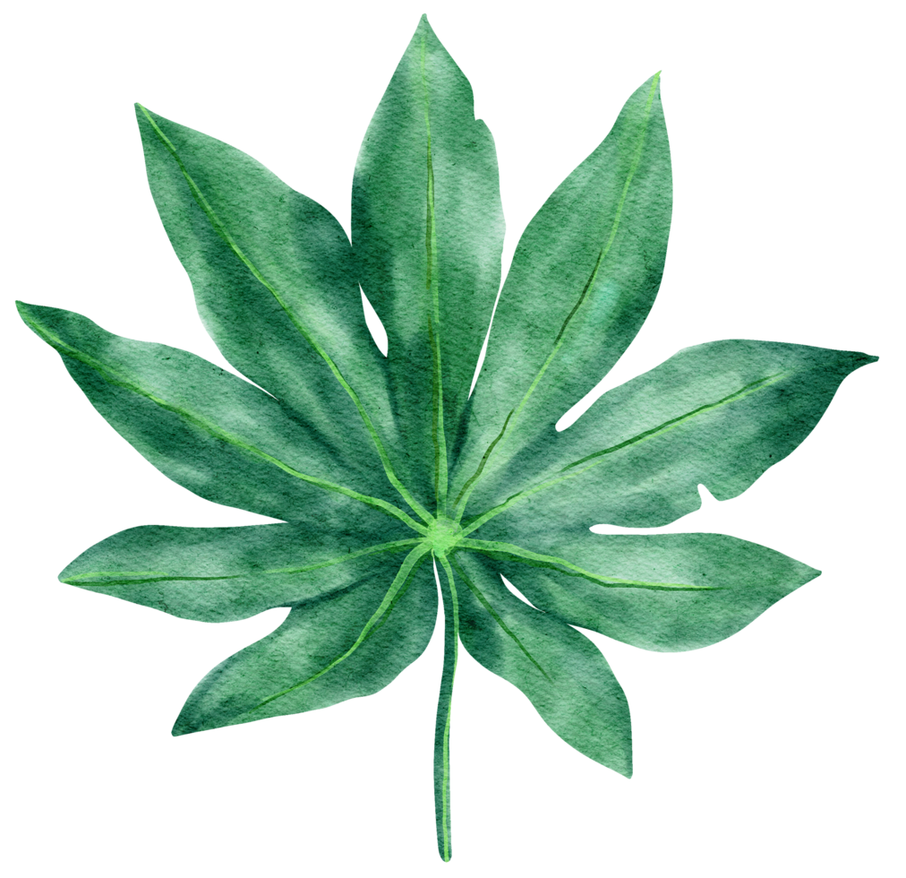 Free Hand Drawn Watercolor Tropical Plant. Flora Botanical Leaf ... Free Hand Drawn Watercolor Tropical Plant. Flora Botanical Leaf ...