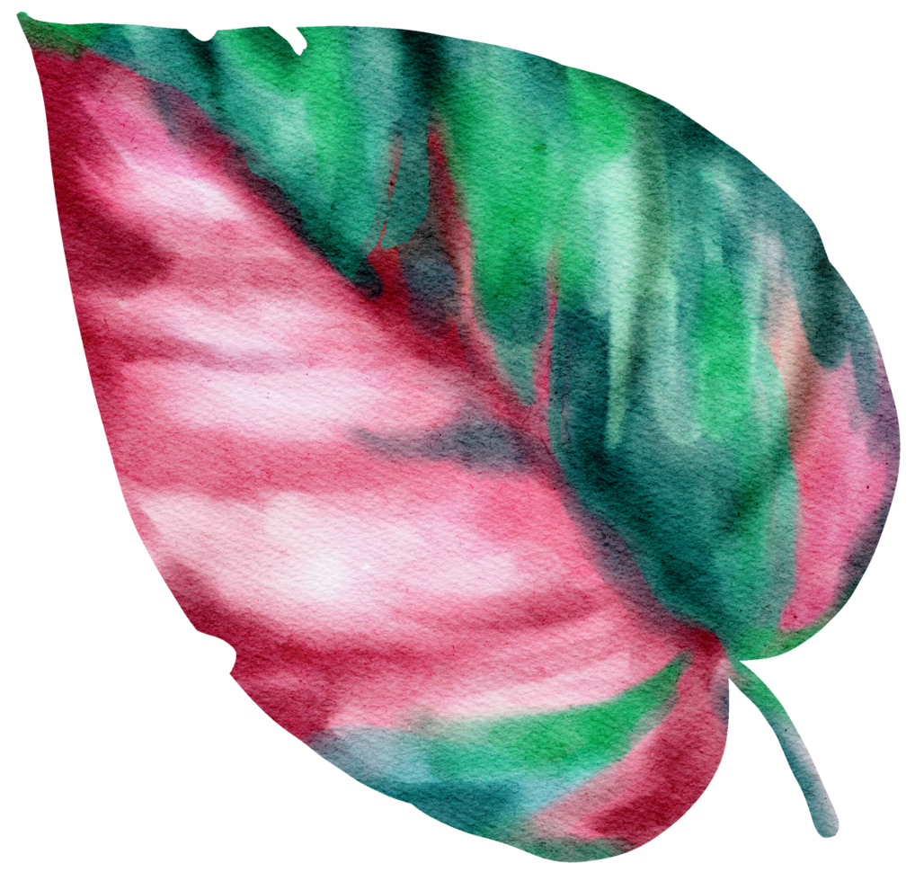 Free Hand Drawn Watercolor Tropical Plant. Flora Botanical Leaf ... Free Hand Drawn Watercolor Tropical Plant. Flora Botanical Leaf ...
