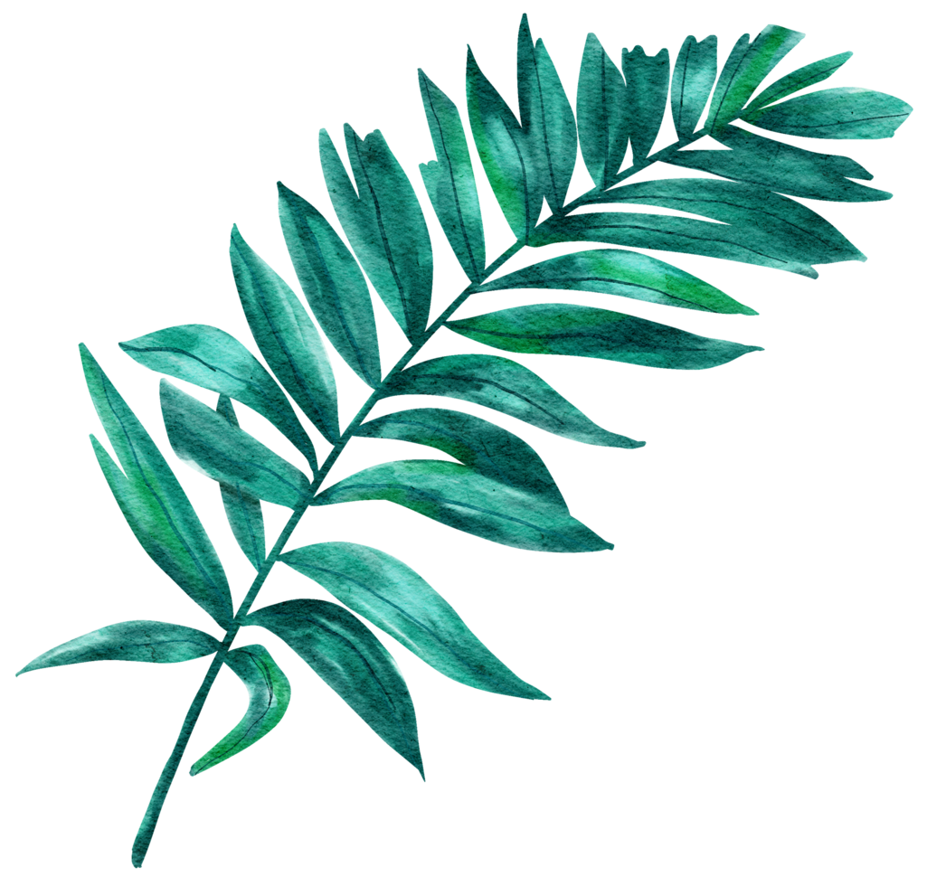 Free Hand Drawn Watercolor Tropical Plant. Flora Botanical Leaf ... Free Hand Drawn Watercolor Tropical Plant. Flora Botanical Leaf ...