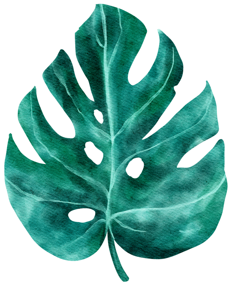 Free Hand Drawn Watercolor Tropical Plant. Flora Botanical Leaf ... Free Hand Drawn Watercolor Tropical Plant. Flora Botanical Leaf ...