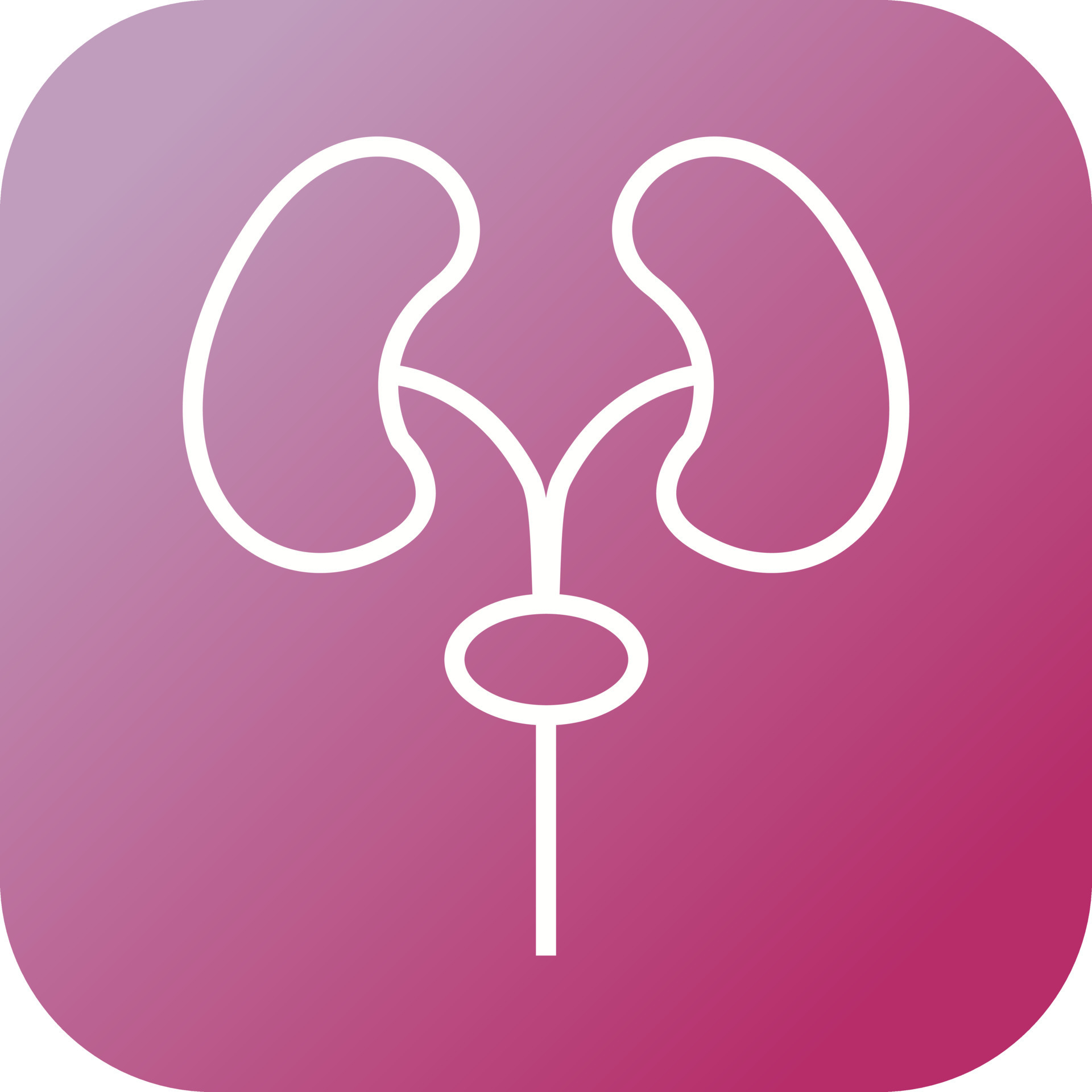 Beautiful Lungs Vector Line Icon 17200511 Vector Art At Vecteezy