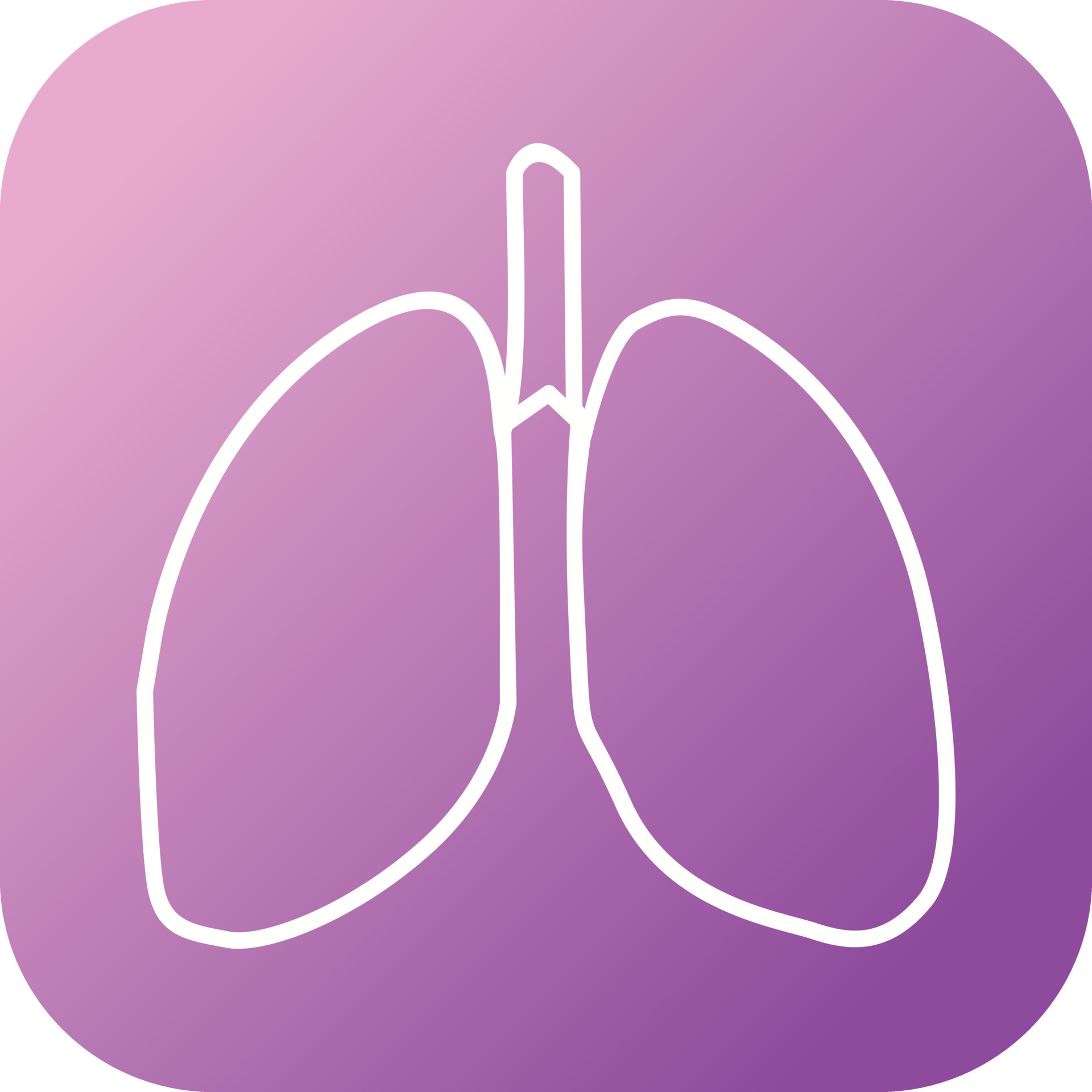 Beautiful Lungs Vector Line Icon 17209772 Vector Art At Vecteezy