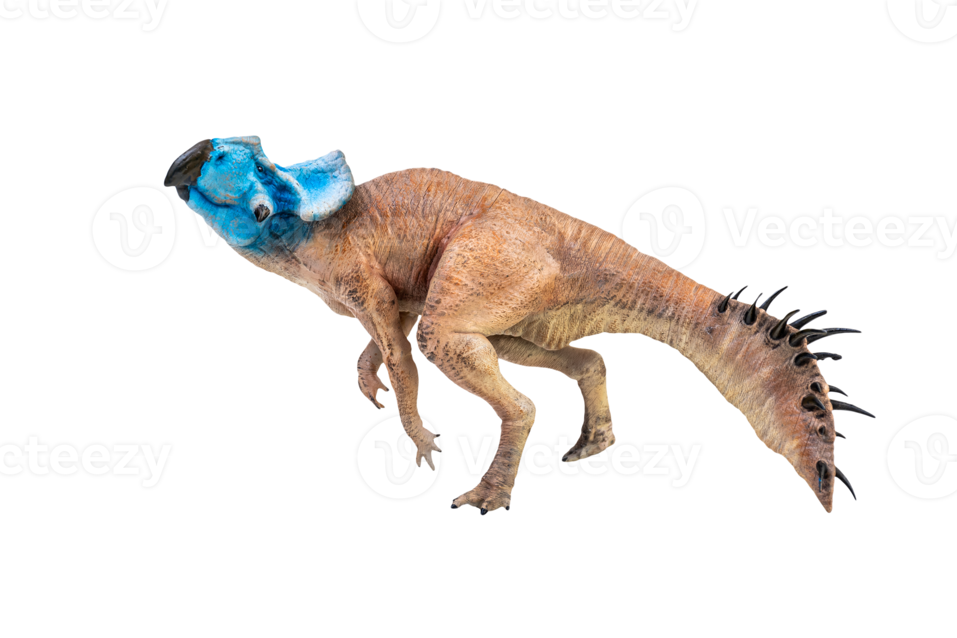 Protoceratops , dinosaur on isolated background 17217989 PNG