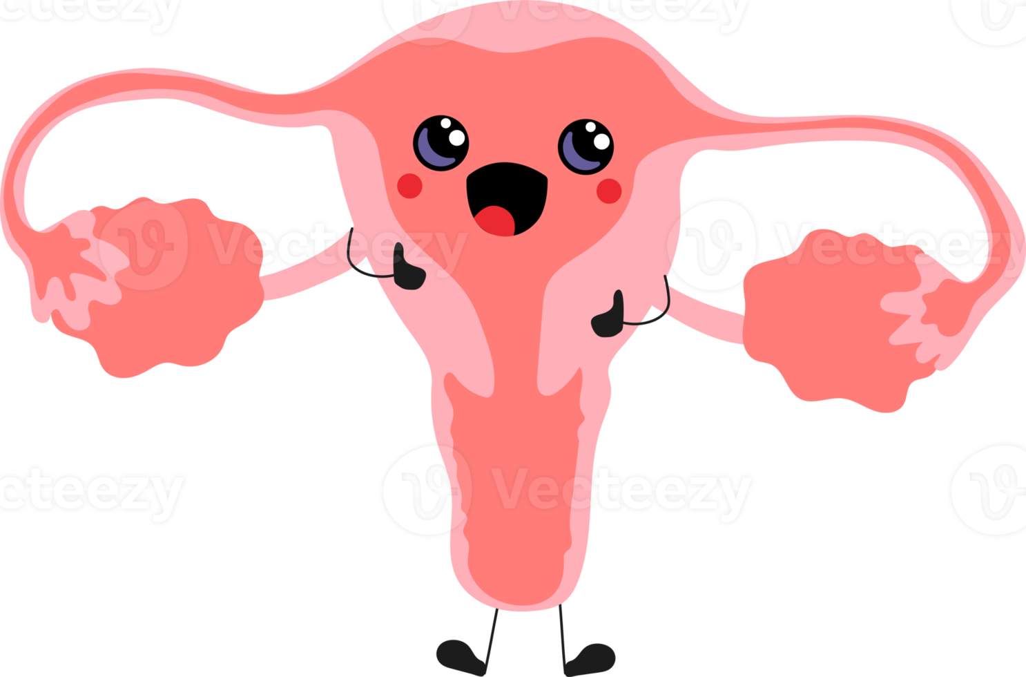 Cute Kawaii Funny Mascot Organ Character Female Reproductive System