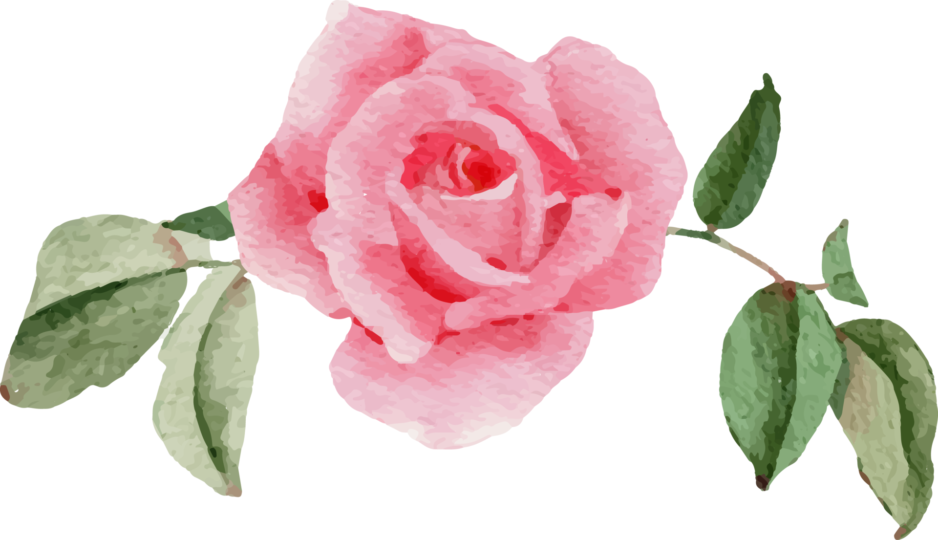 Watercolor Pink Rose Flower Bouquet For Valentines Day 17229406 Png
